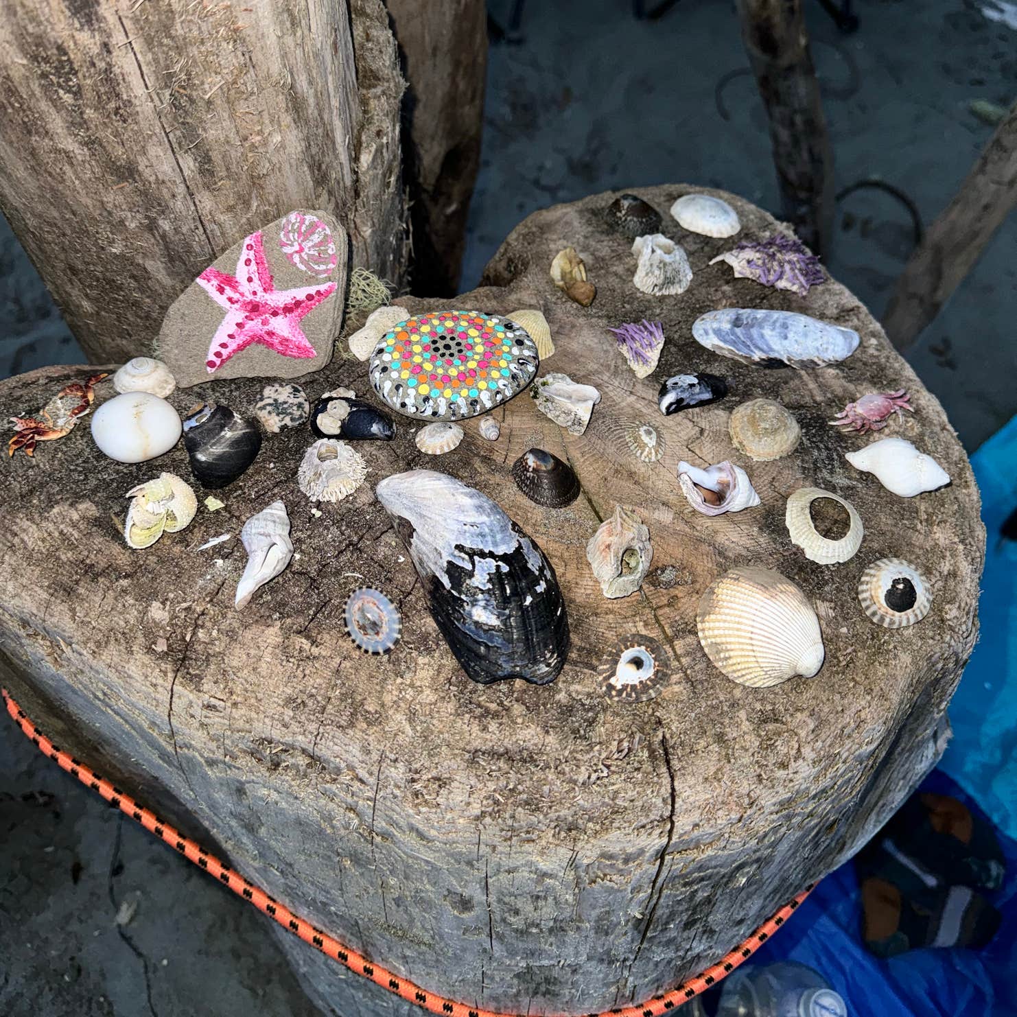 DNR Dispersed Campsite | Neah Bay, Washington