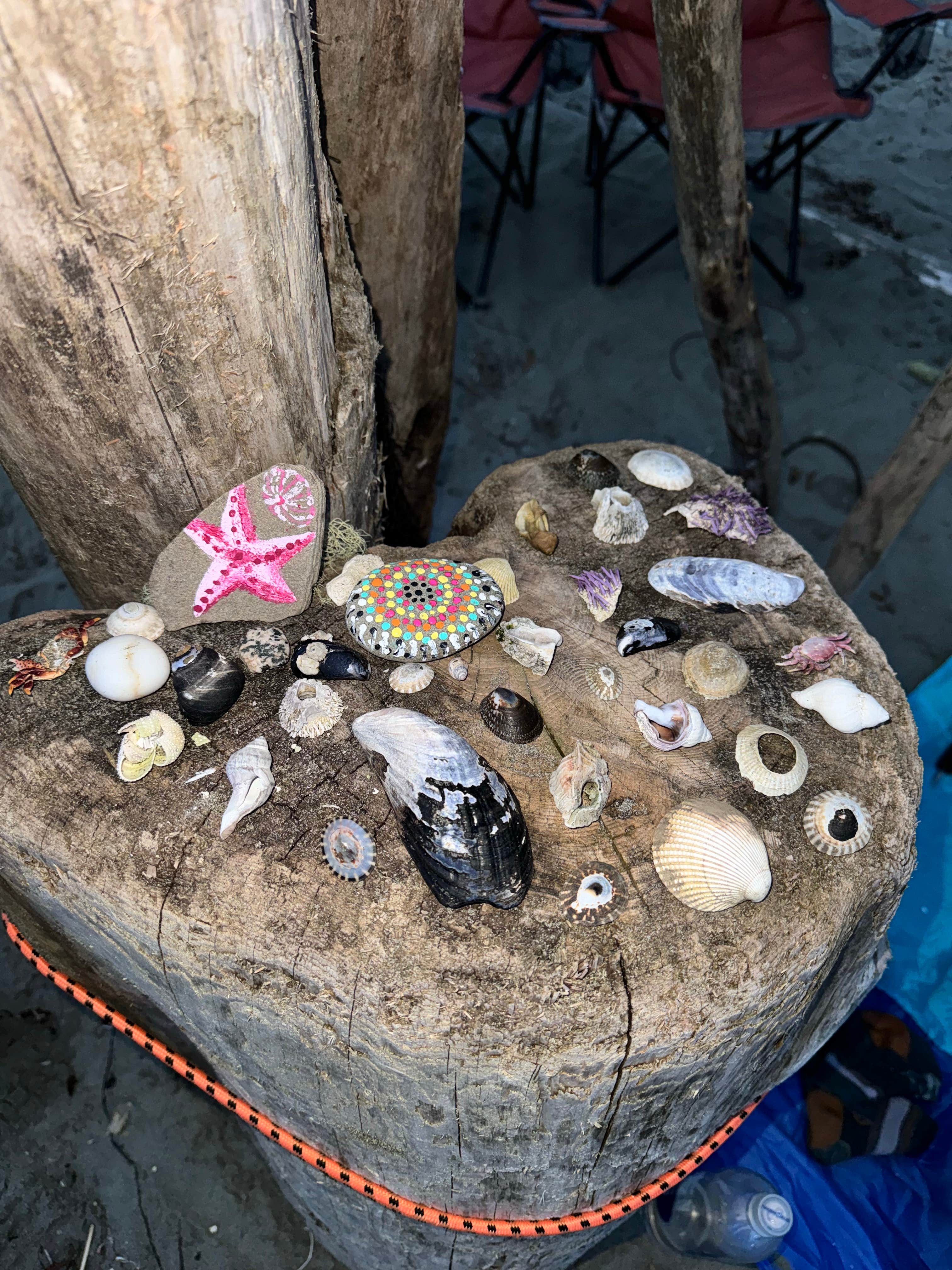 DNR Dispersed Campsite | Neah Bay, Washington