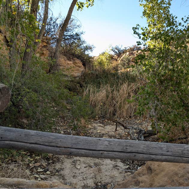 Dove Spring Camping | Eggnog, Utah