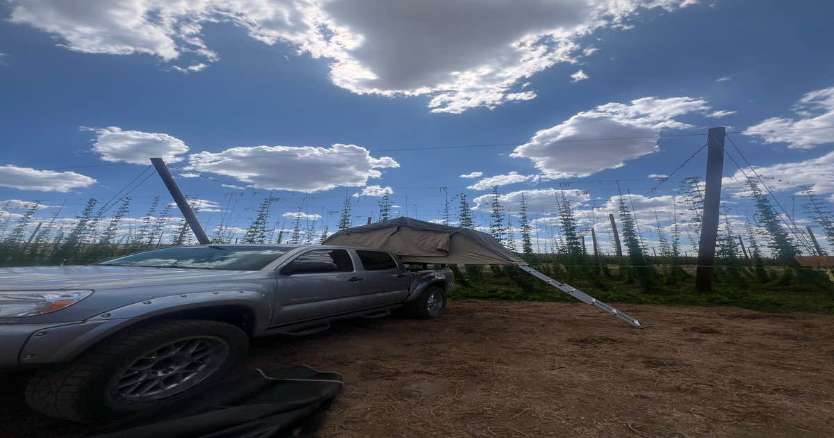 Down at the Hop Yard Camping | Montrose, Colorado