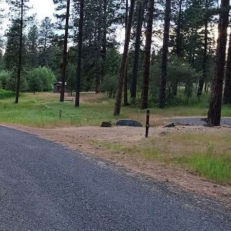 Dragoon Creek Campground | Chattaroy, Washington