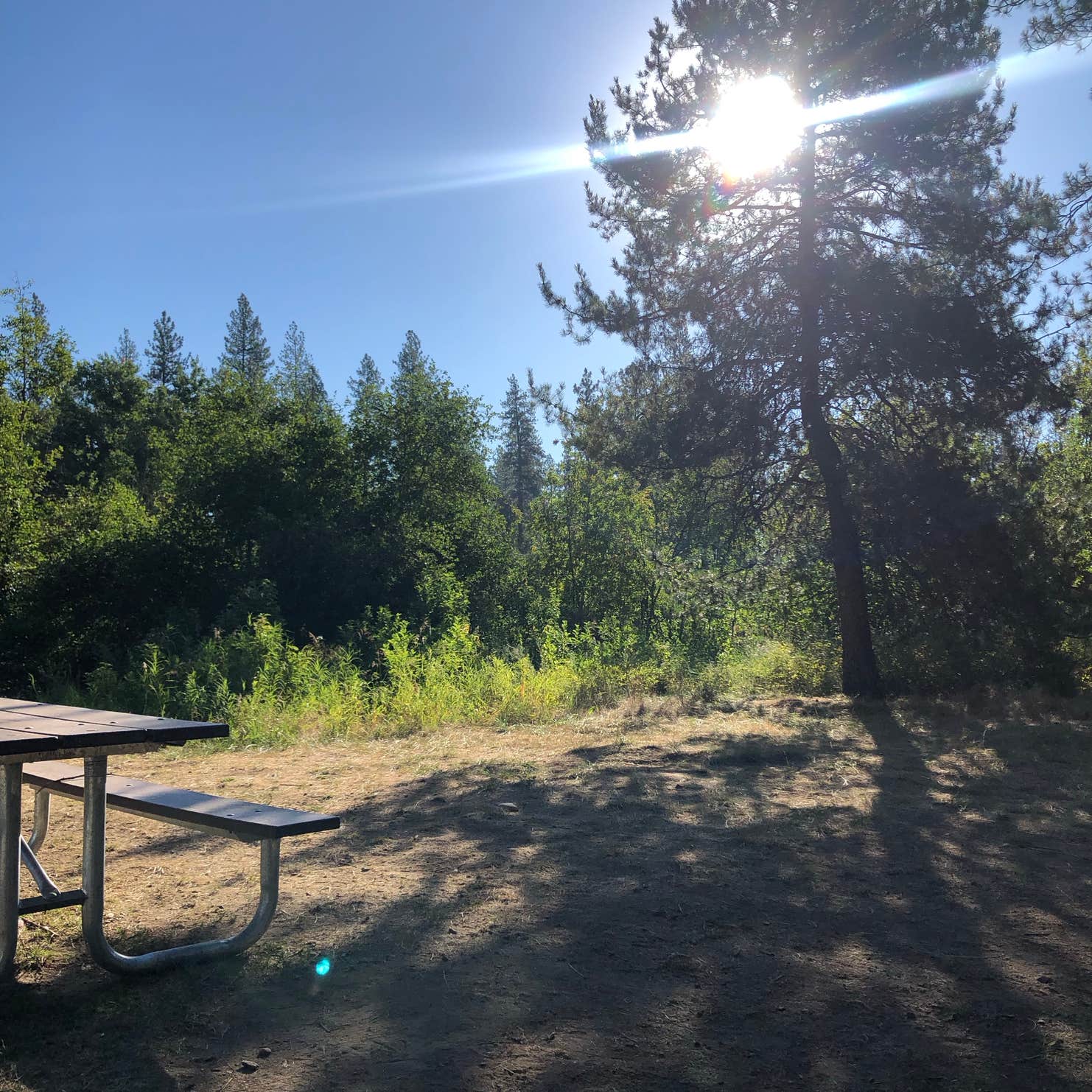 Dragoon Creek Campground | Deer Park, WA