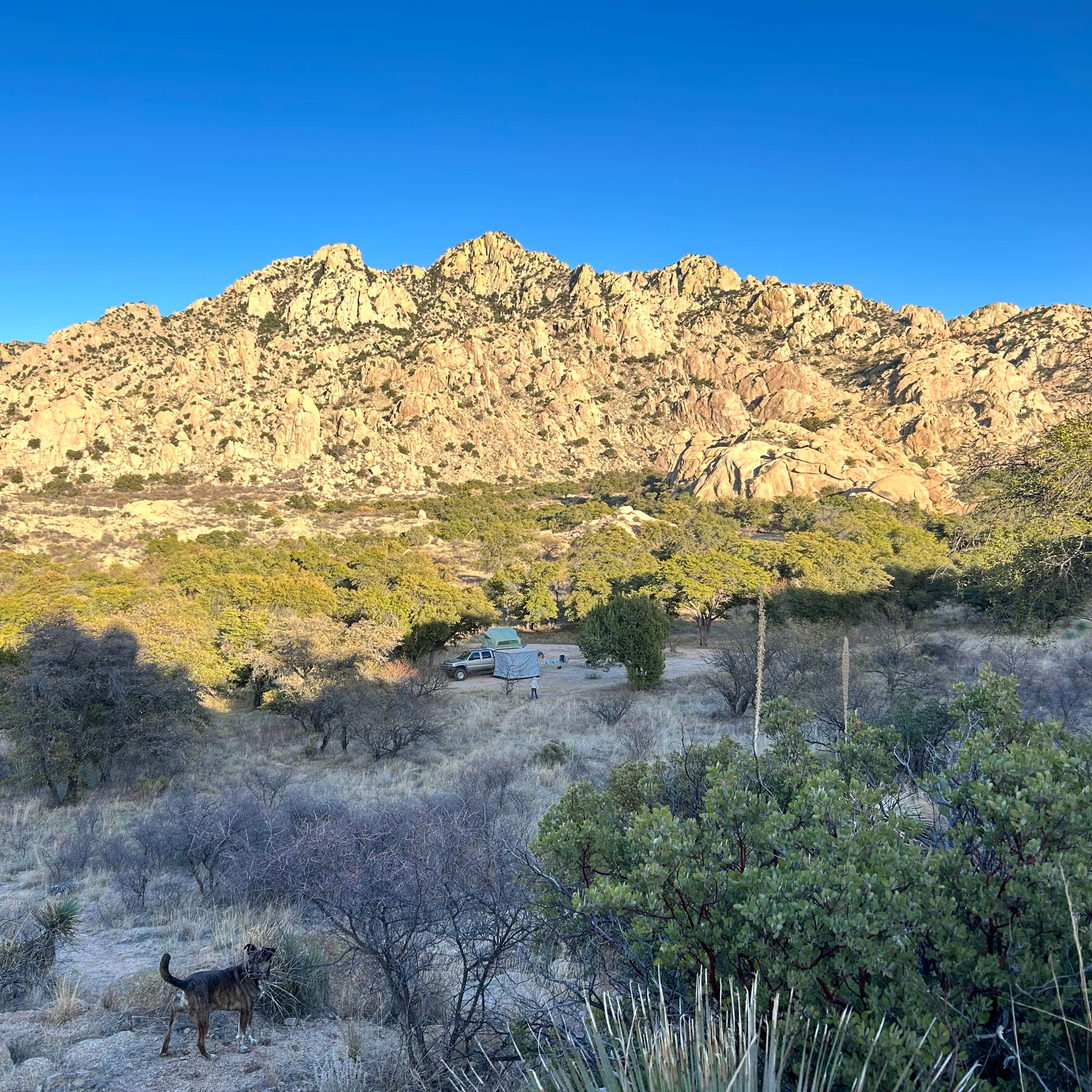 Dragoon Mountains Camping | Tombstone, Arizona
