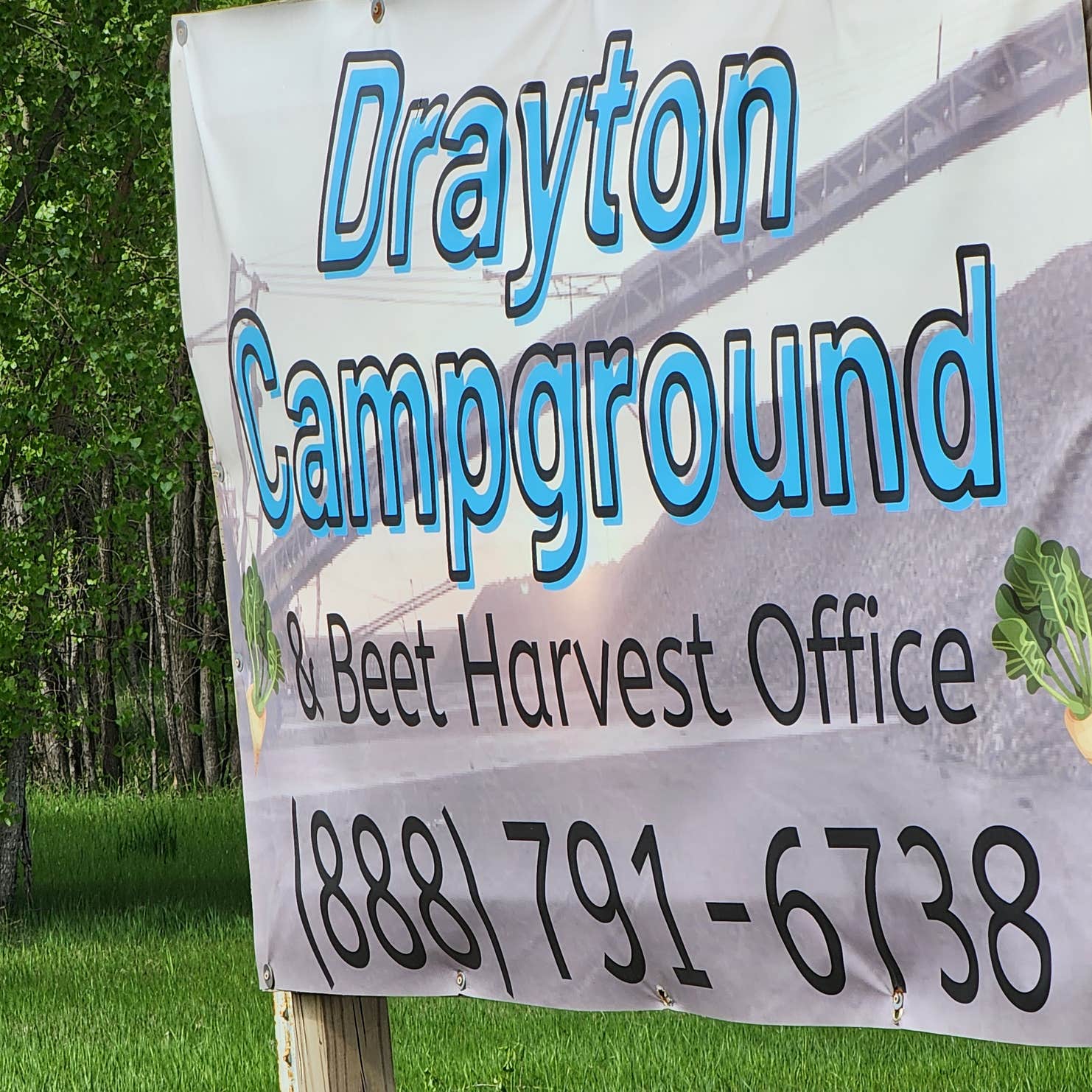 Drayton Campground | Grafton, North Dakota