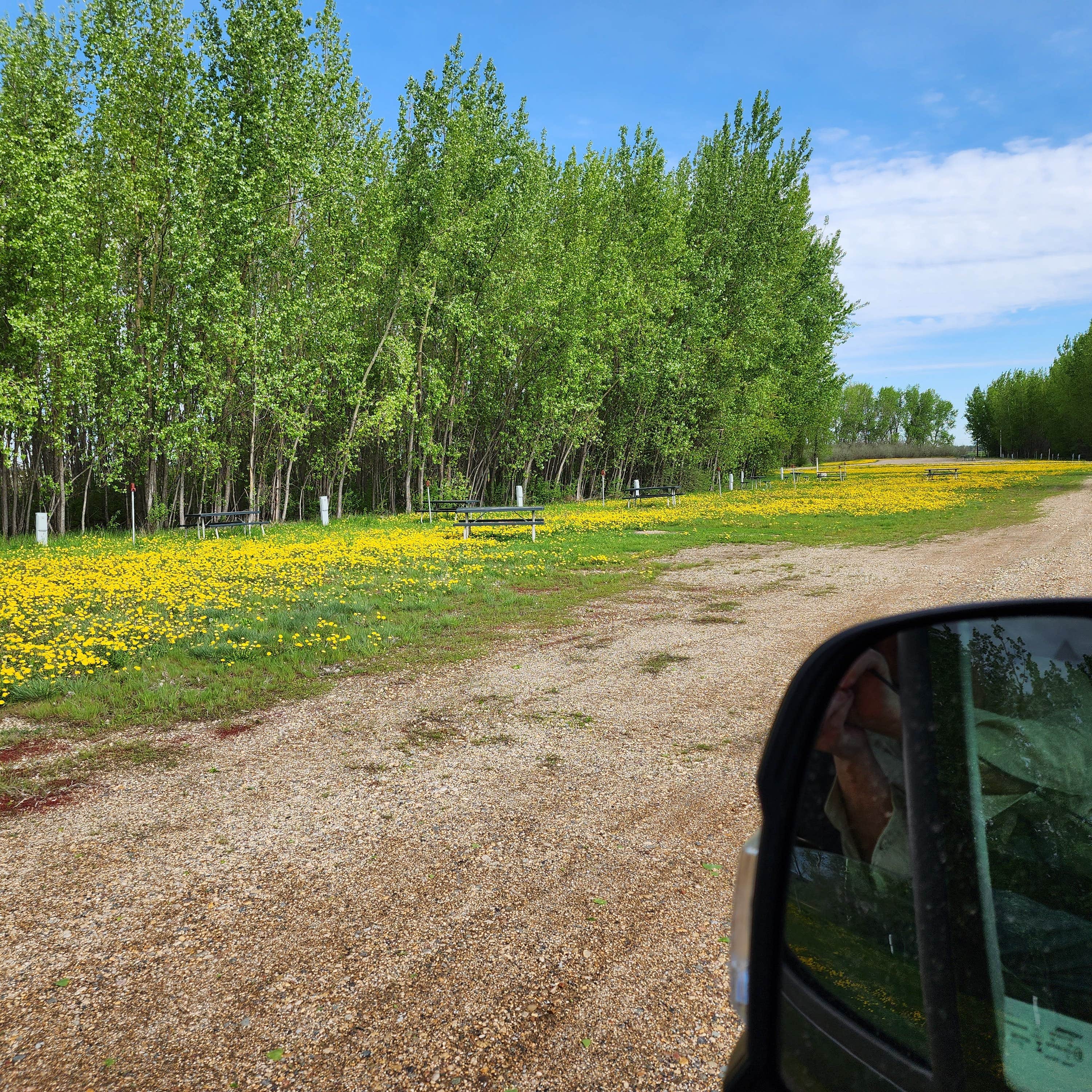 Drayton Campground | Grafton, North Dakota