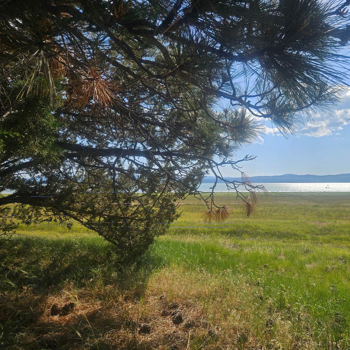 East Eagle Lake Camping | Susanville, California