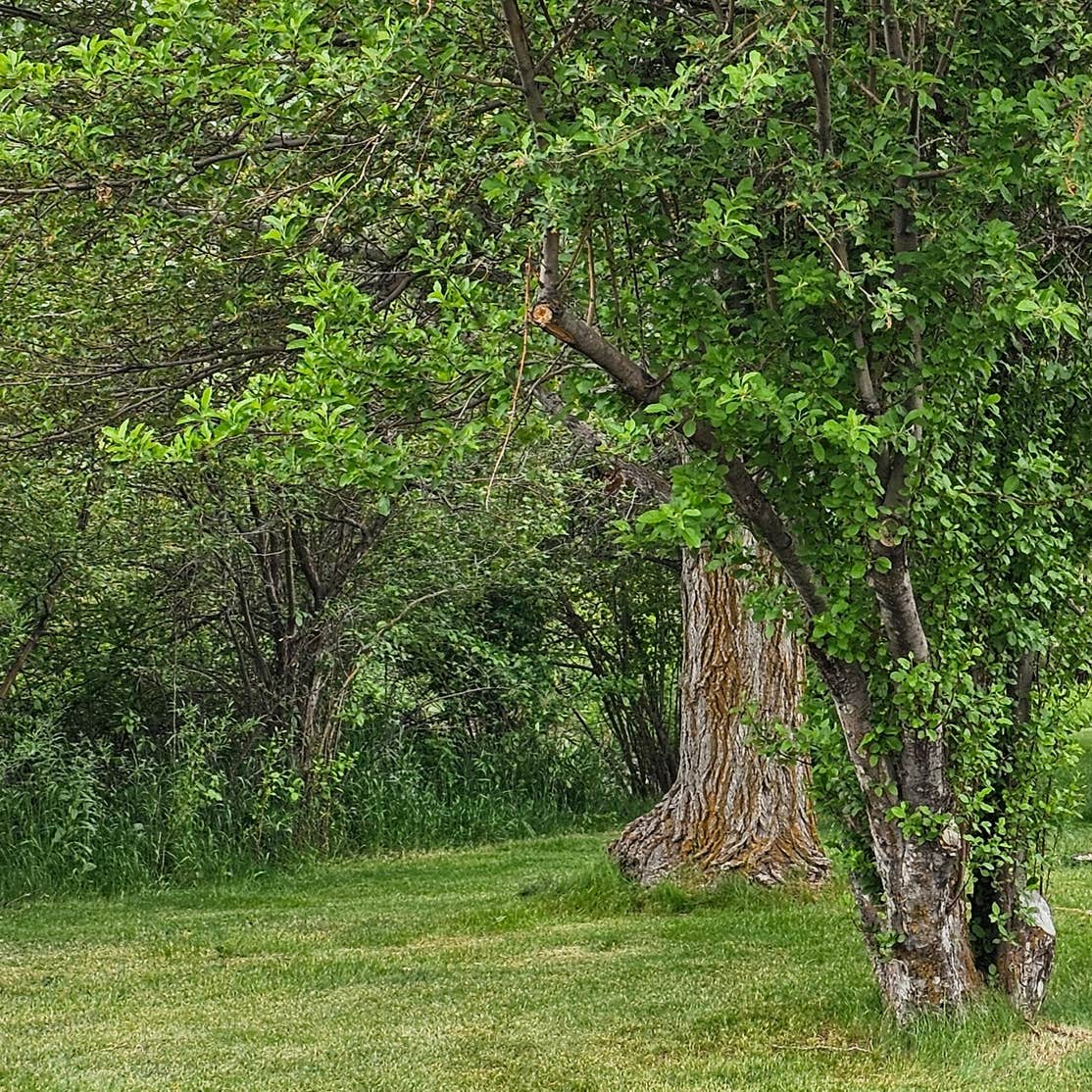 Echo Island RV Resort | Coalville, Utah