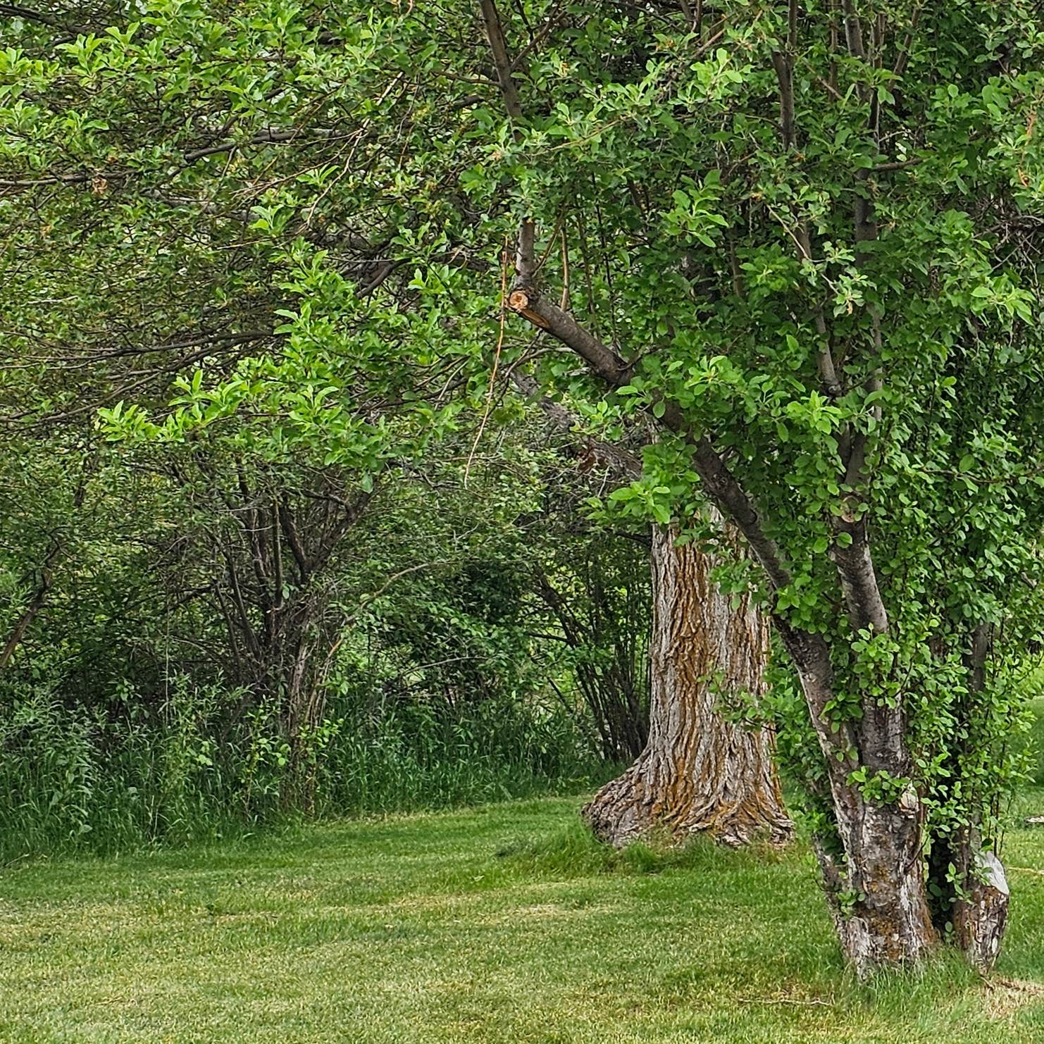 Echo Island RV Resort | Coalville, Utah