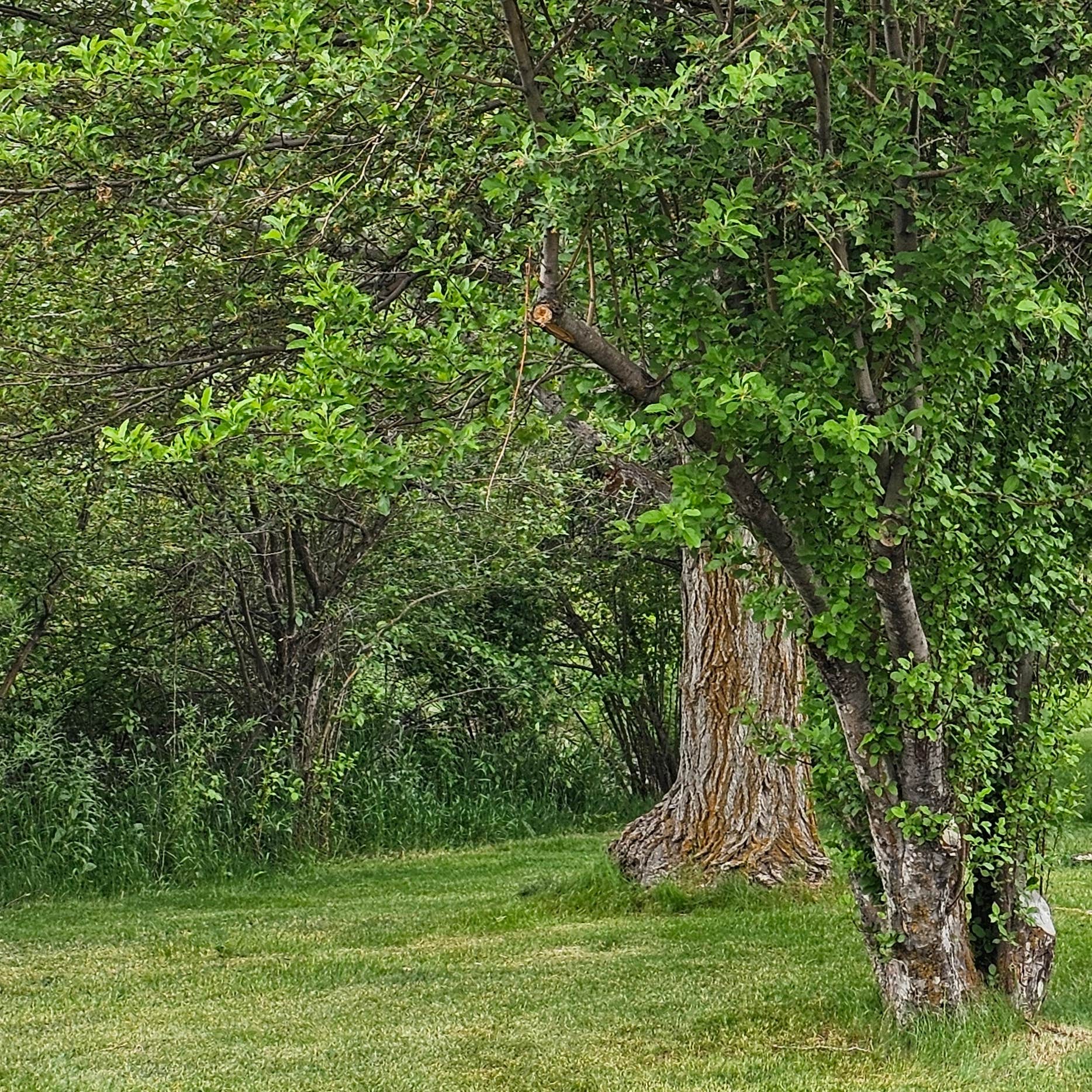 Echo Island RV Resort | Coalville, Utah