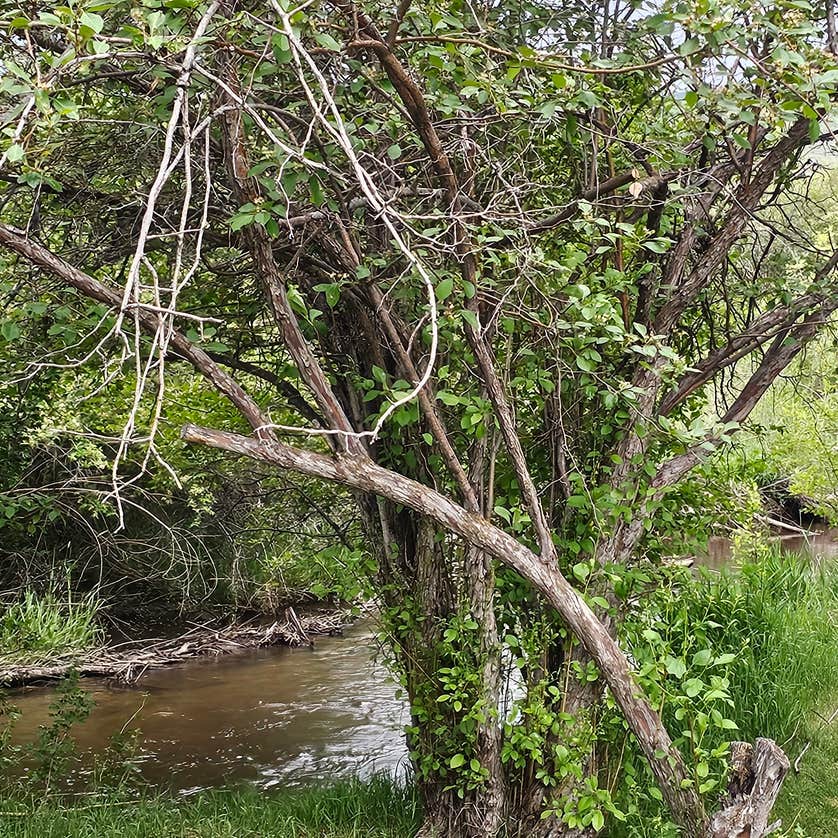 Echo Island RV Resort | Coalville, Utah