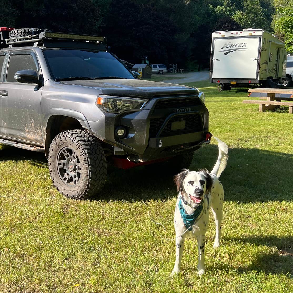 Edson Creek Camping — Bureau Of Land Management | Sixes, Oregon