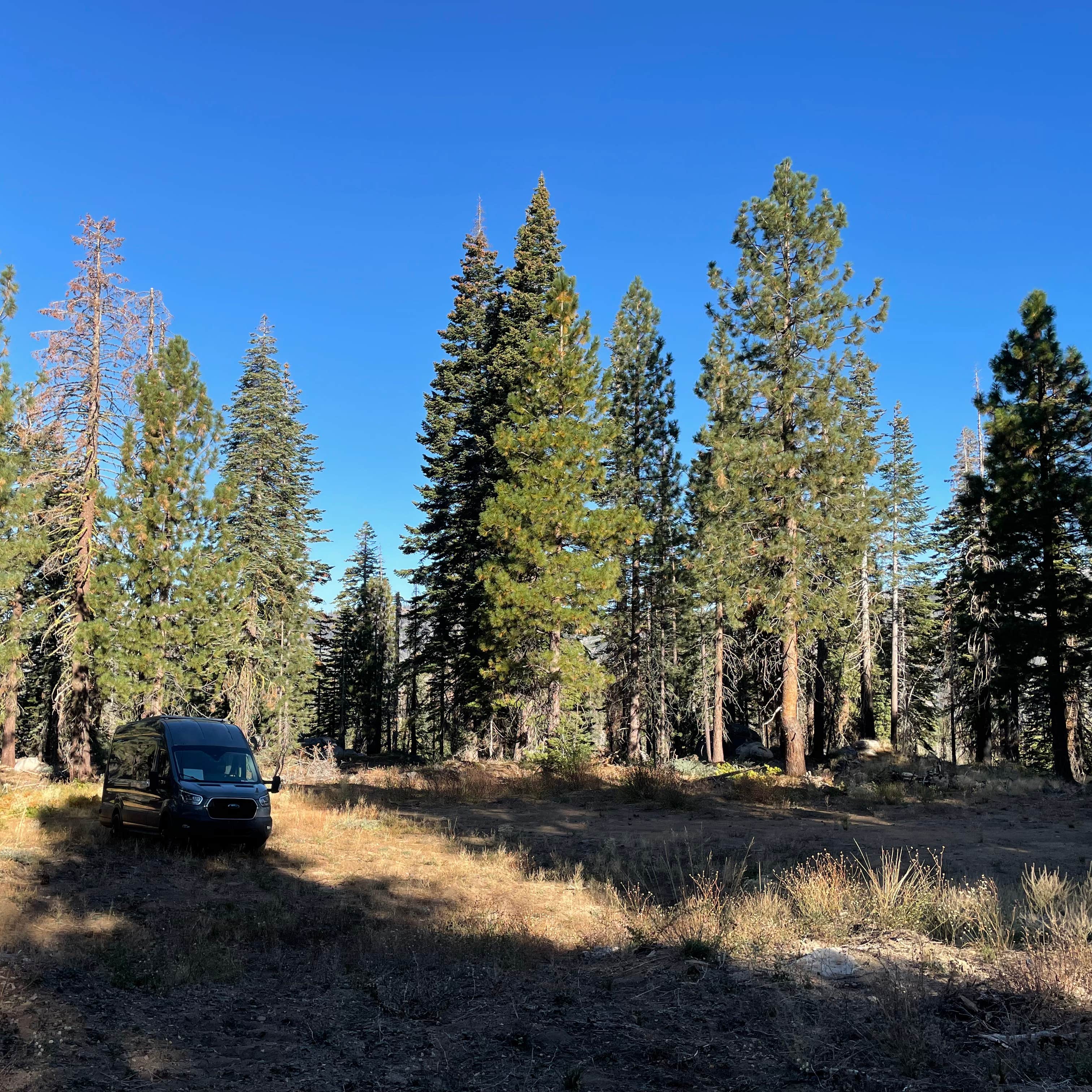 Packsaddle Pass - El Dorado National Forest Dispersed Camping | Twin ...