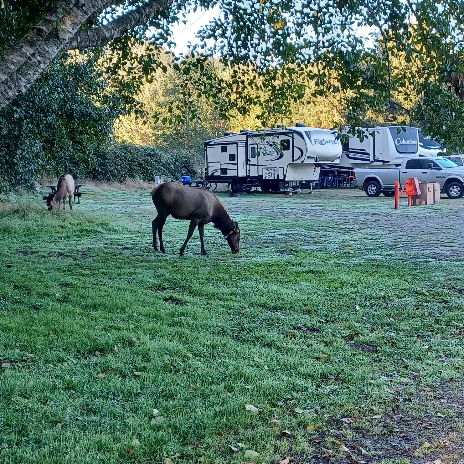 Elk Country RV Resort & Campground | Orick, California