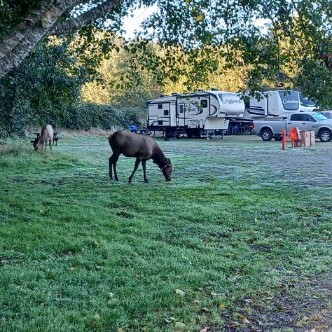 Elk Country RV Resort & Campground | Orick, California