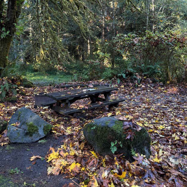 Elk Prairie Campground — Prairie Creek Redwoods State Park | Orick, CA