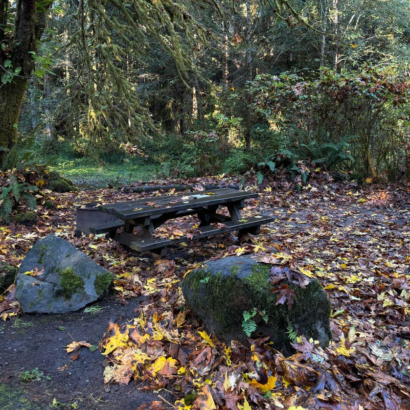 Elk Prairie Campground — Prairie Creek Redwoods State Park | Orick ...