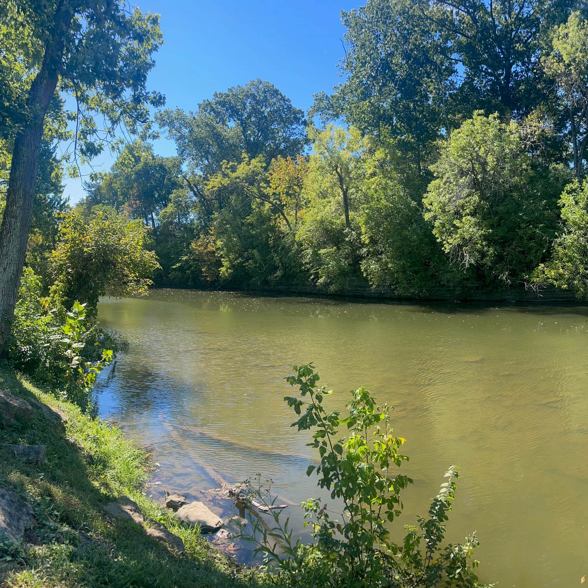 Elkhorn Creek RV Park | Frankfort, Kentucky