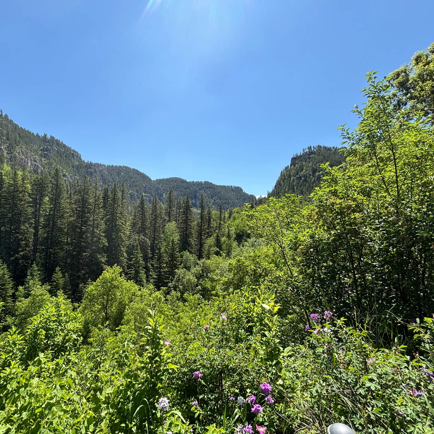 Elkhorn Ridge RV Resort & Cabins | Spearfish, South Dakota