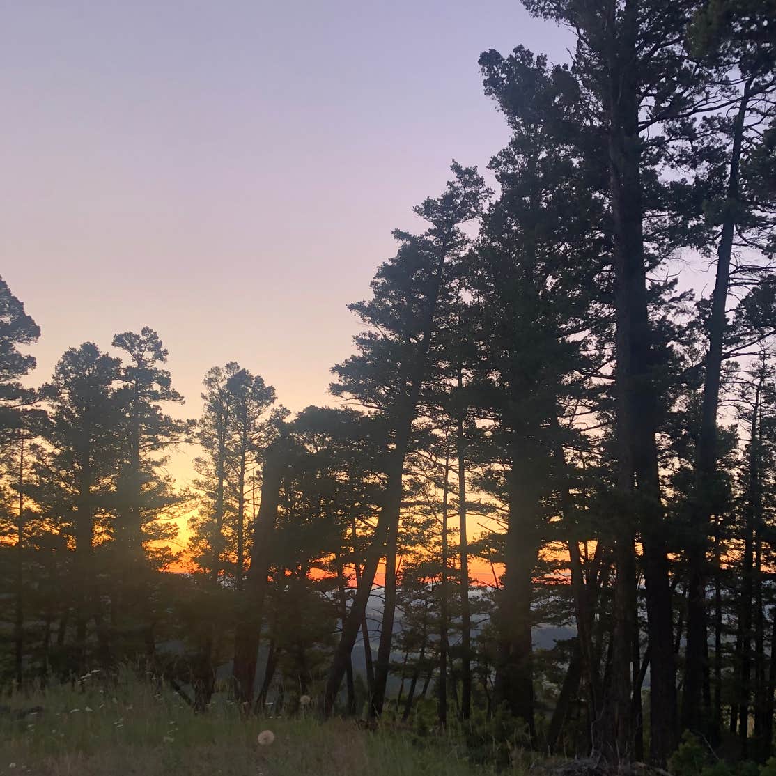 Elliston Dispersed Camping on Forest Road 314 | Elliston, Montana