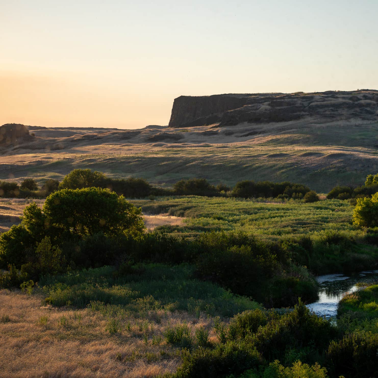 Escure Ranch / Rock Creek Recreation Area Camping | Endicott, WA