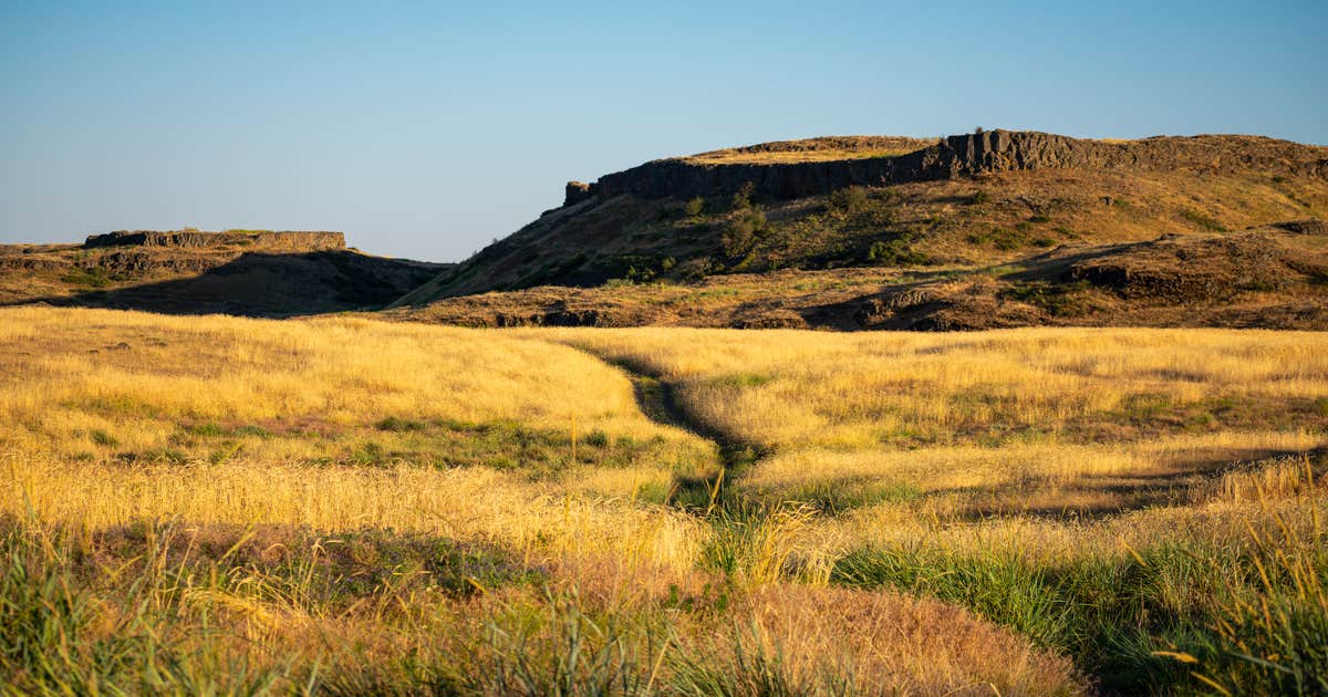 Escure Ranch / Rock Creek Recreation Area Camping | Endicott, WA