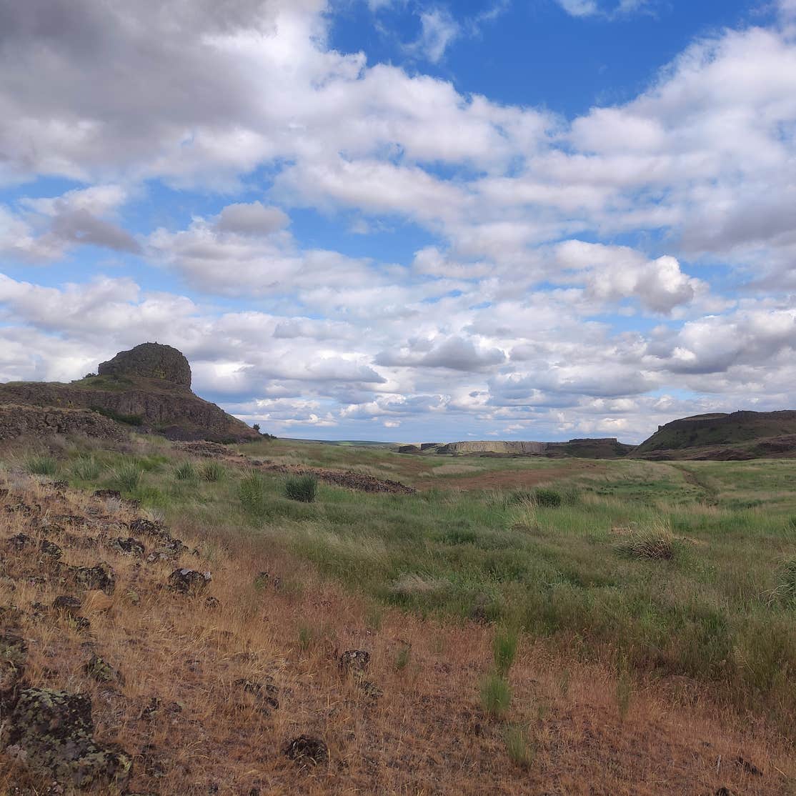 Escure Ranch / Rock Creek Recreation Area Camping | Lamont, Washington