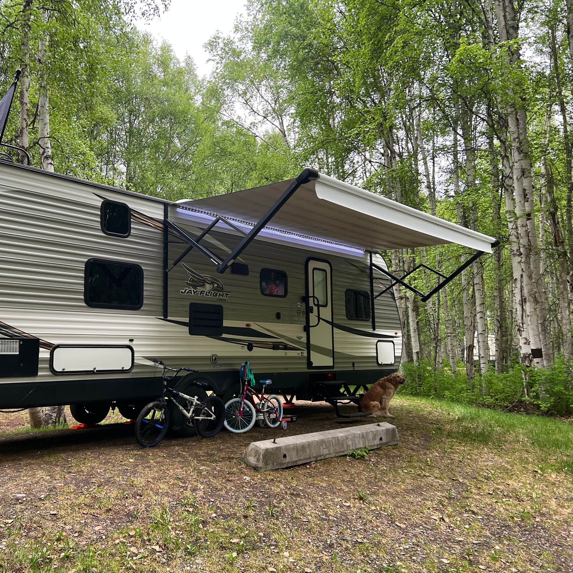 Chena Lake Recreation Area Camping | North Pole, Alaska