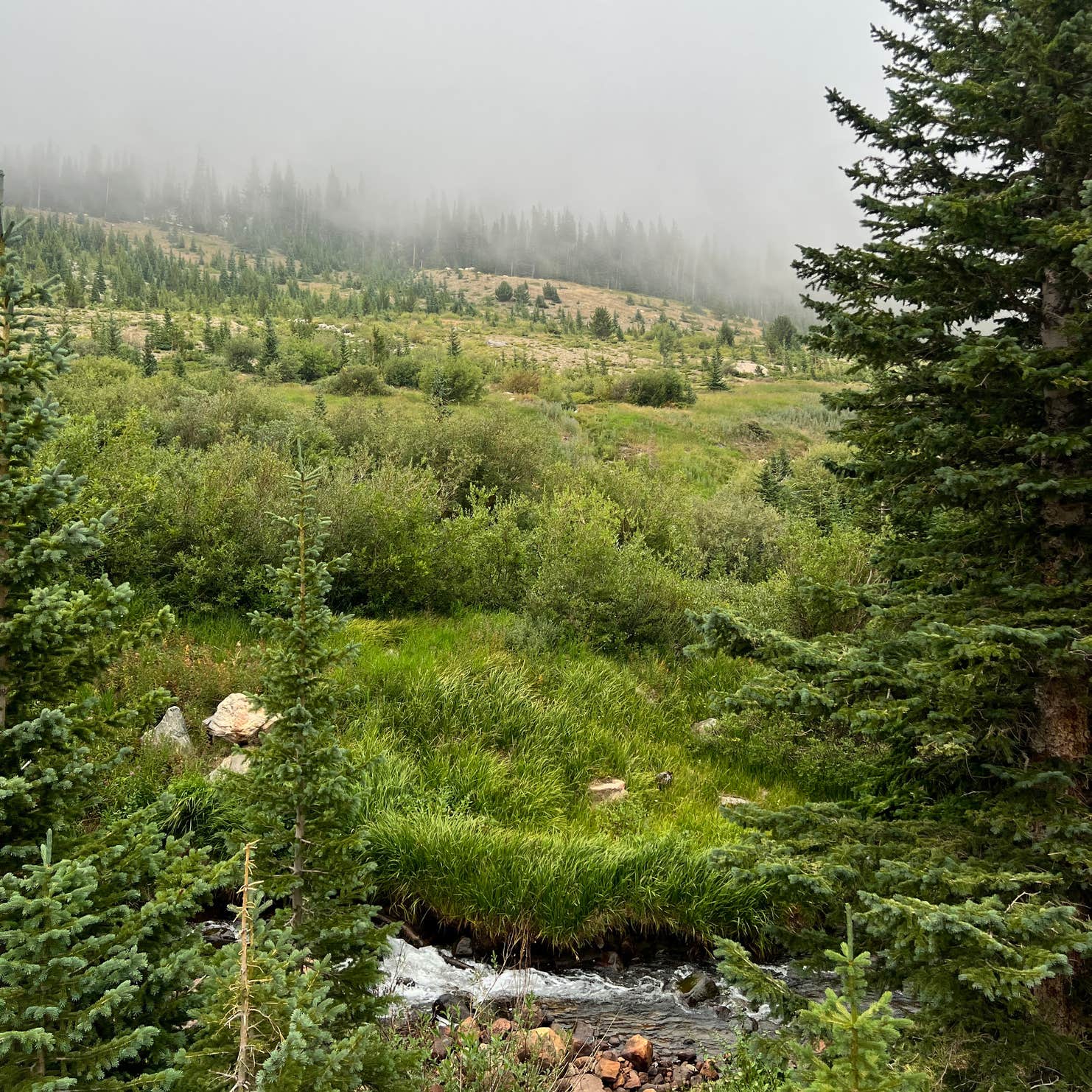 Fall River Reservoir Dispersed Camping Trail | Empire, Colorado