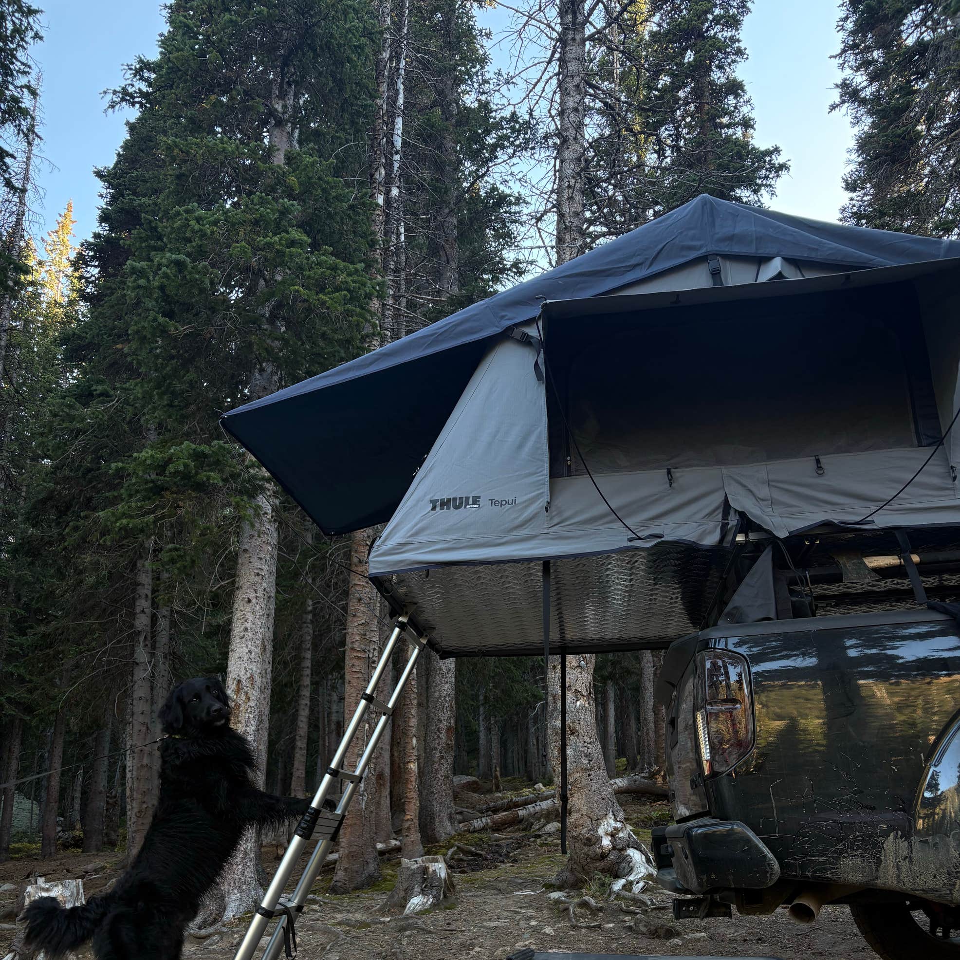 Fall River Reservoir Dispersed Camping Trail | Empire, Colorado