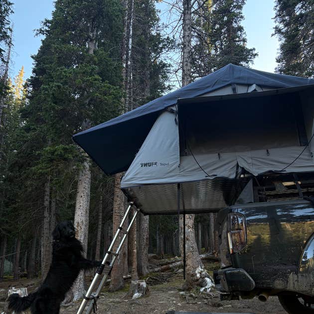 Fall River Reservoir Dispersed Camping Trail | Empire, Colorado