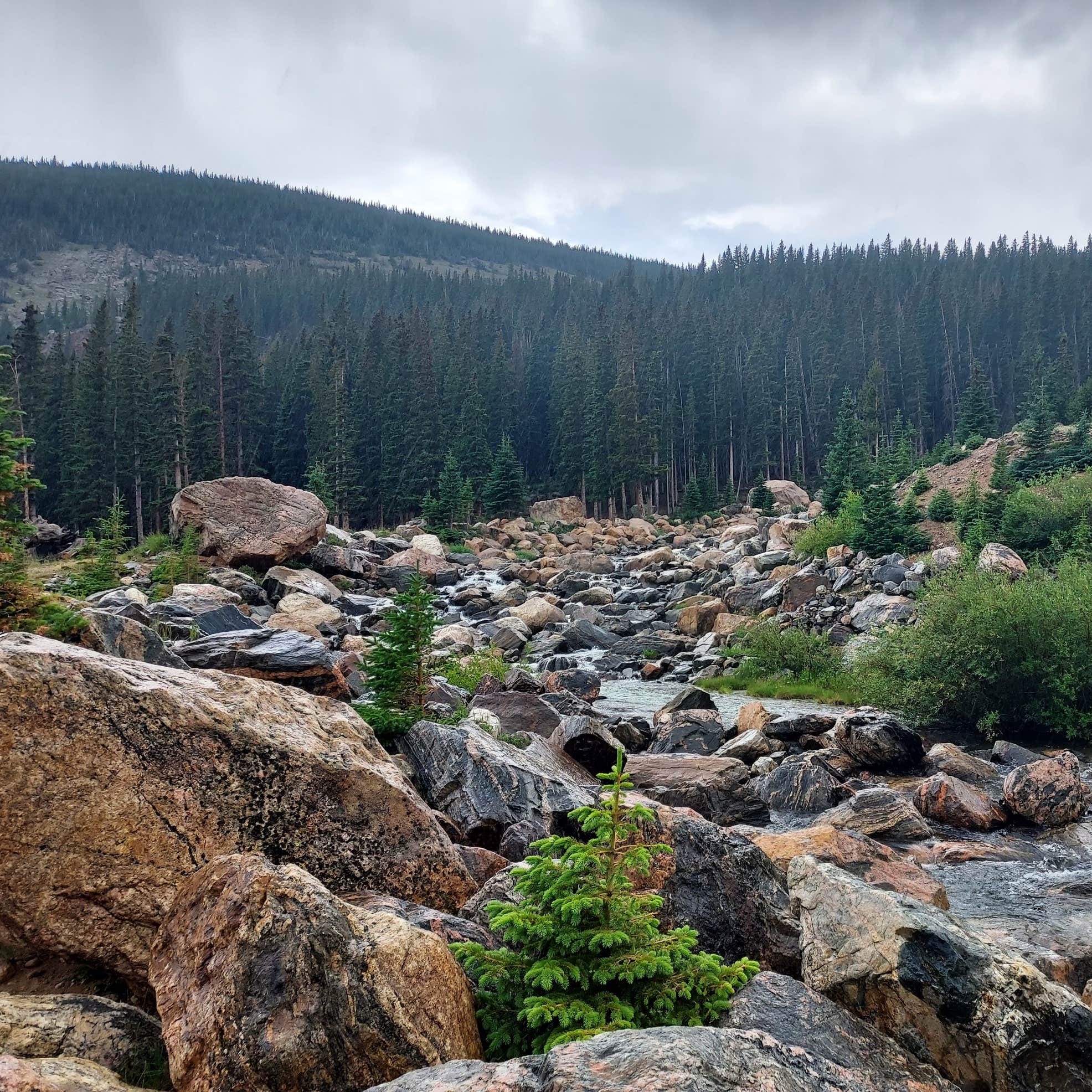 Fall River Reservoir Dispersed Camping Trail | Empire, Colorado