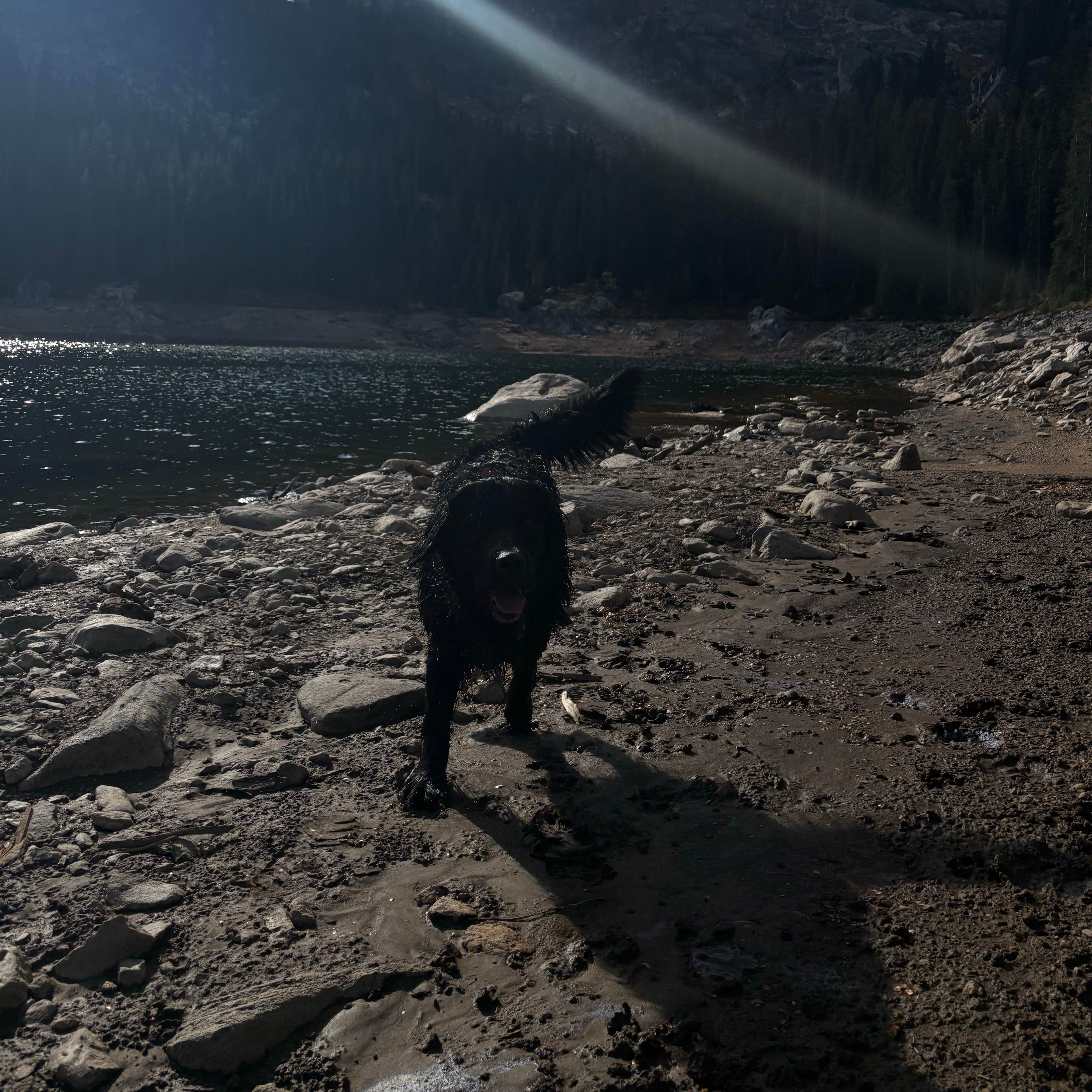 Fall River Reservoir Dispersed Camping Trail | Empire, Colorado