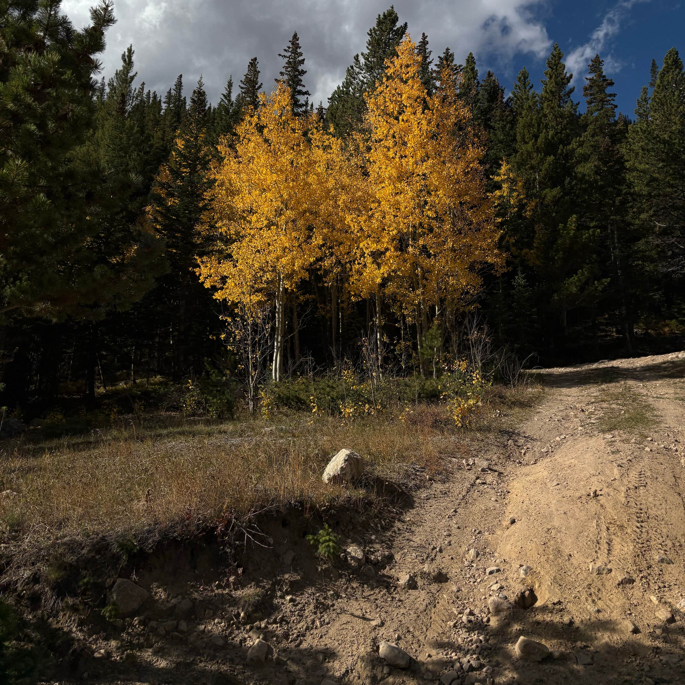 Fall River Reservoir Dispersed Camping Trail | Empire, Colorado