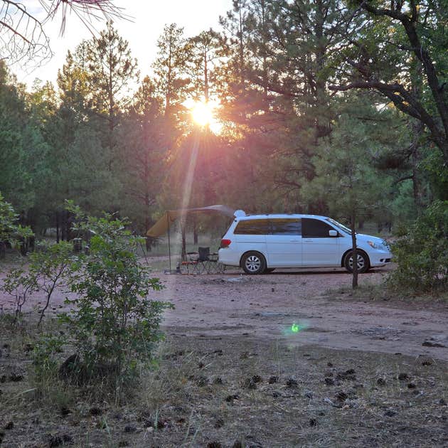 Coconino Rim Road, Fire Road 310 Kaibab Forest Camping | Grand Canyon ...