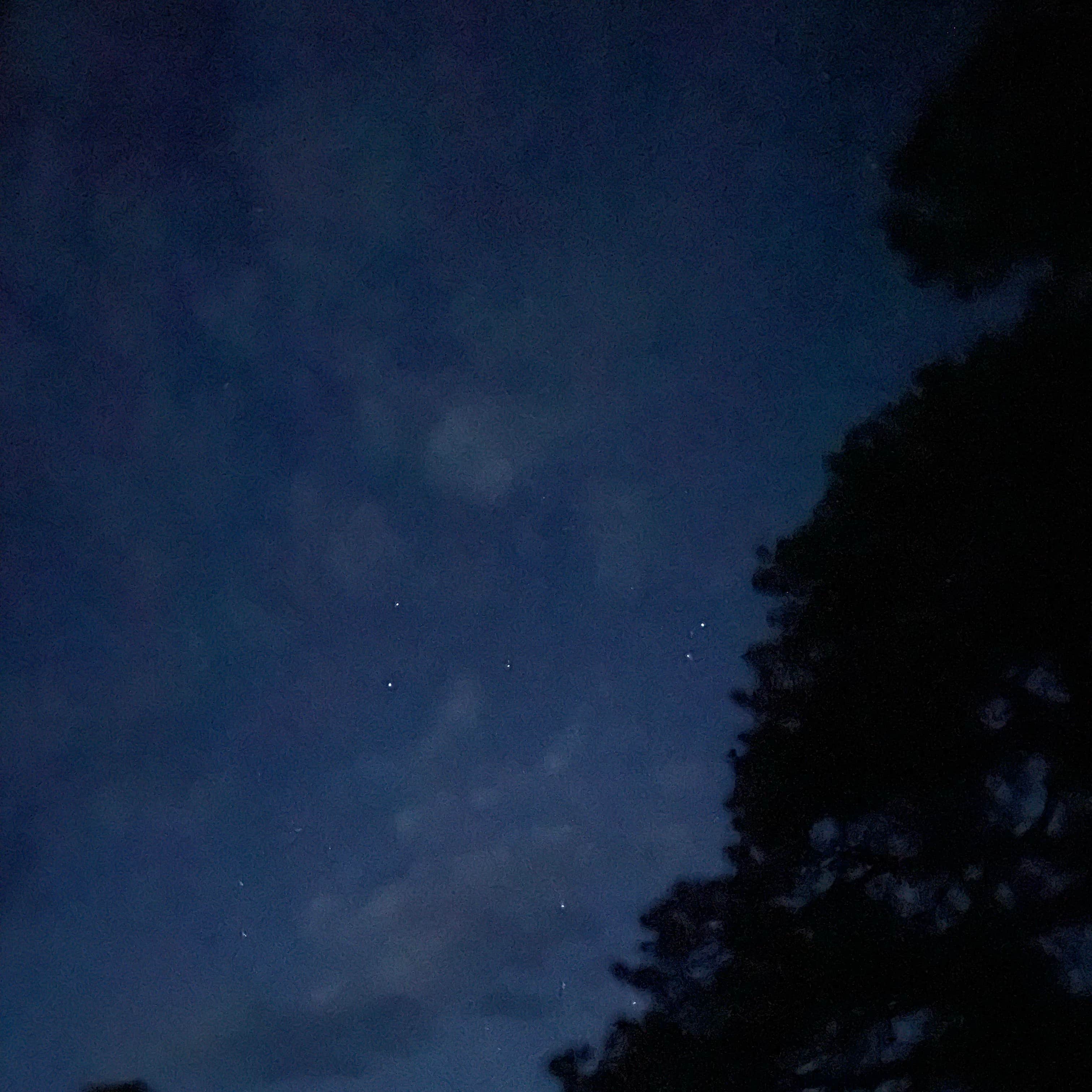 Coconino Rim Road, Fire Road 310 Kaibab Forest Camping | Grand Canyon, AZ