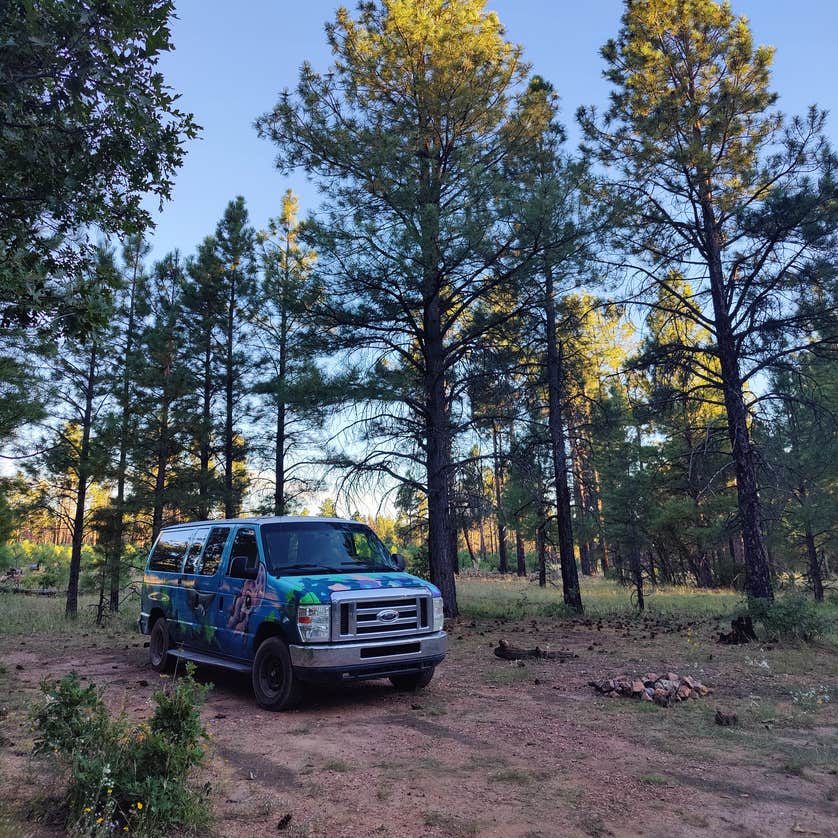 Coconino Rim Road, Fire Road 310 Kaibab Forest Camping | Grand Canyon ...