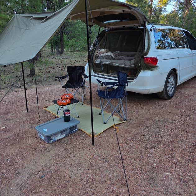 Coconino Rim Road, Fire Road 310 Kaibab Forest Camping | Grand Canyon ...