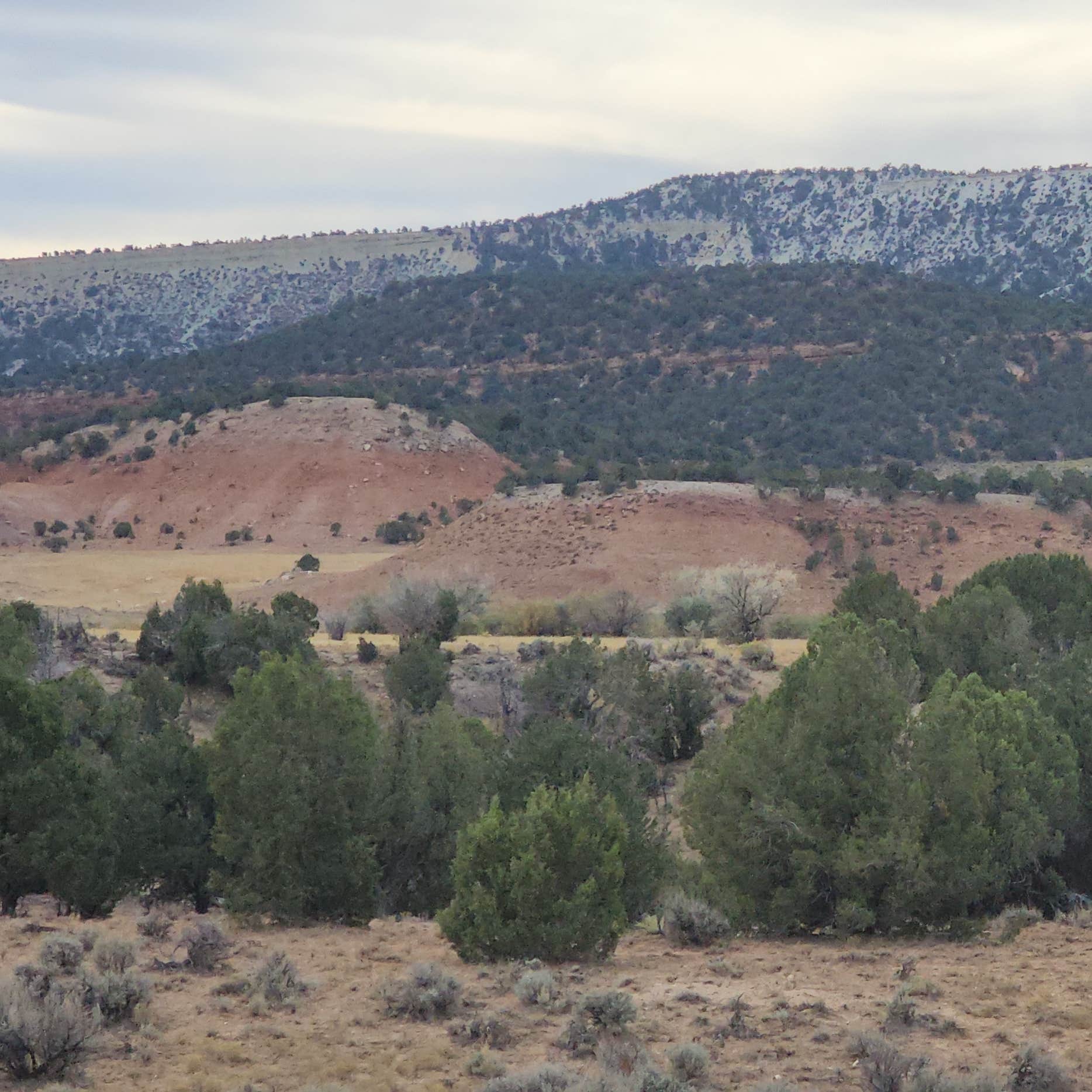 Fish Lake National Forest Camping | Salina, Utah