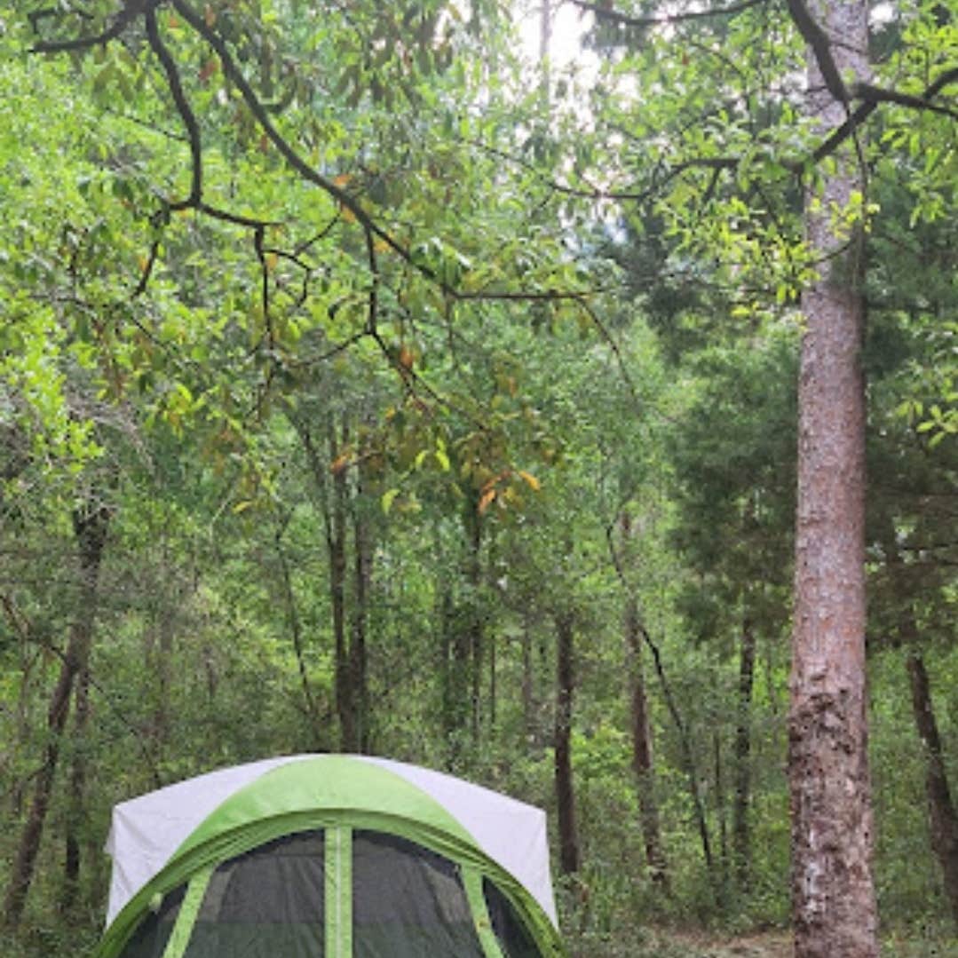 Alexander Springs Recreation Area Camping | Astor, Florida