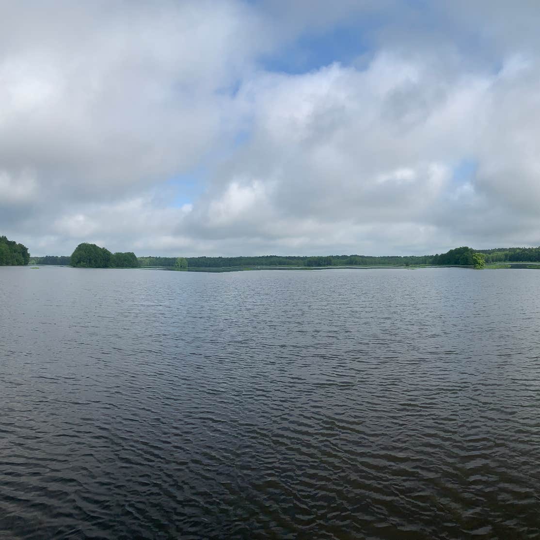 Coe Landing Campground | Tallahassee, FL