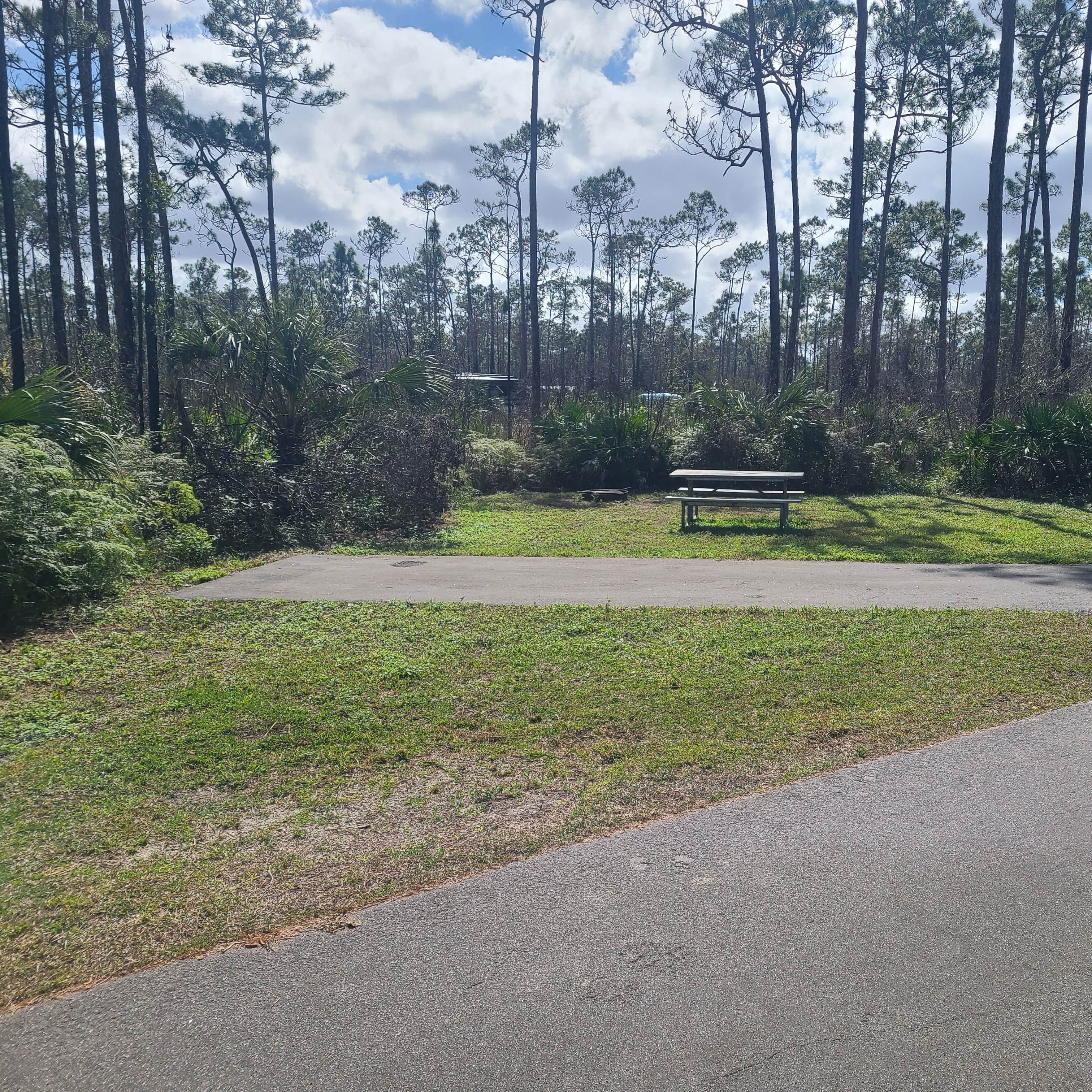 Long Pine Key Campground — Everglades National Park | Florida City, Florida