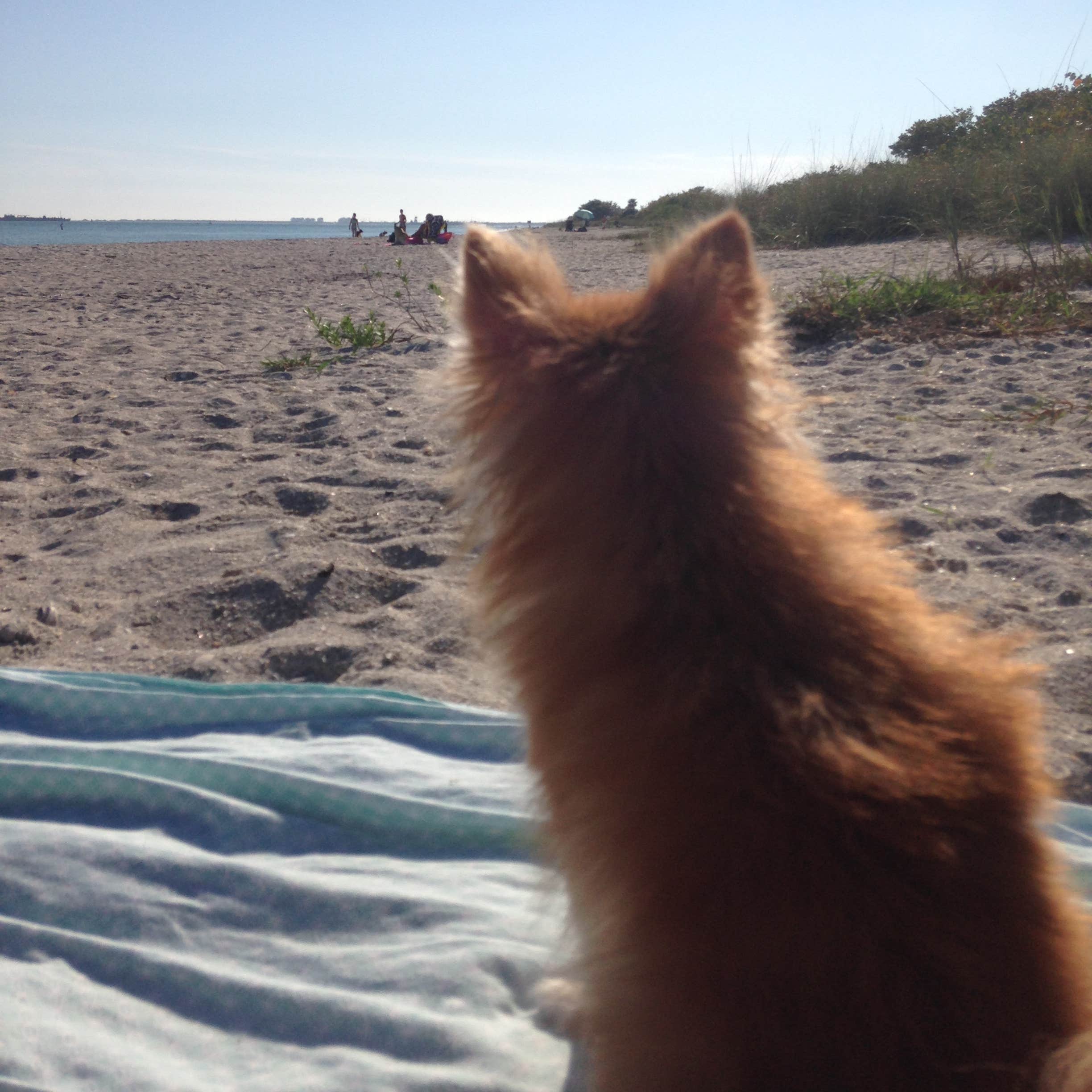 Fort De Soto Campground | Saint Petersburg, FL