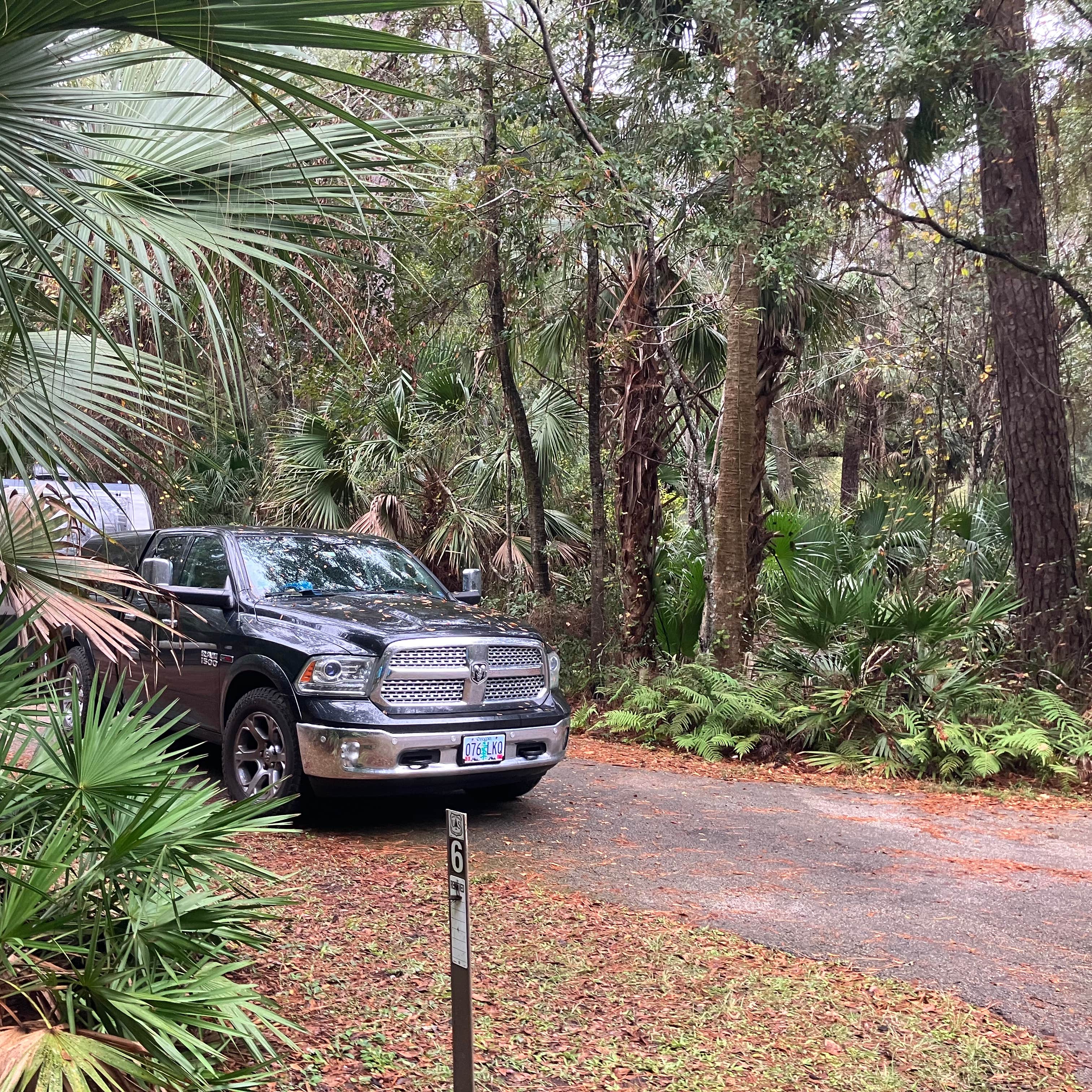 Juniper Springs Rec Area - Tropical Camp Area | Silver springs, FL