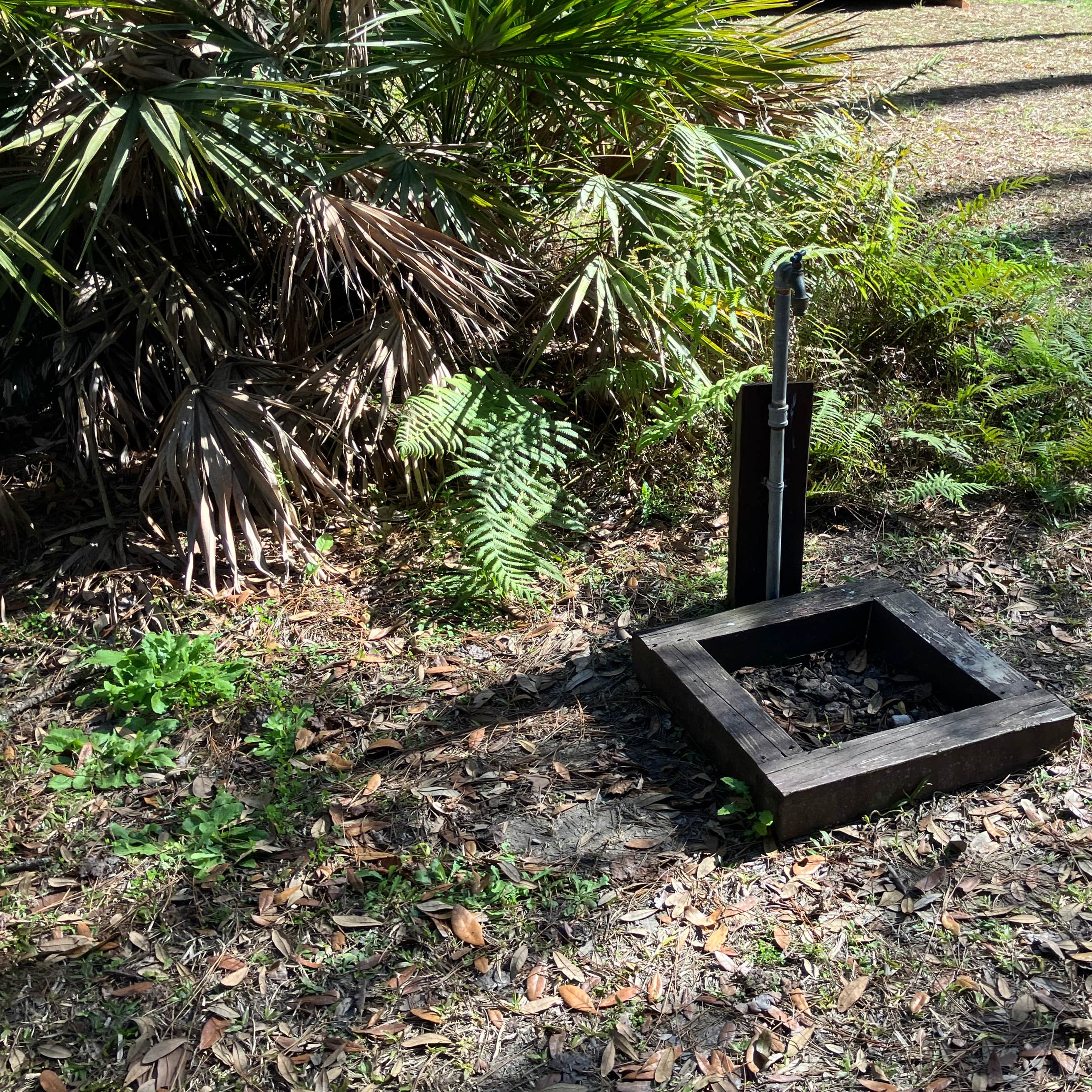 Ocala National Forest Lake Dorr Campground | Altoona, Florida