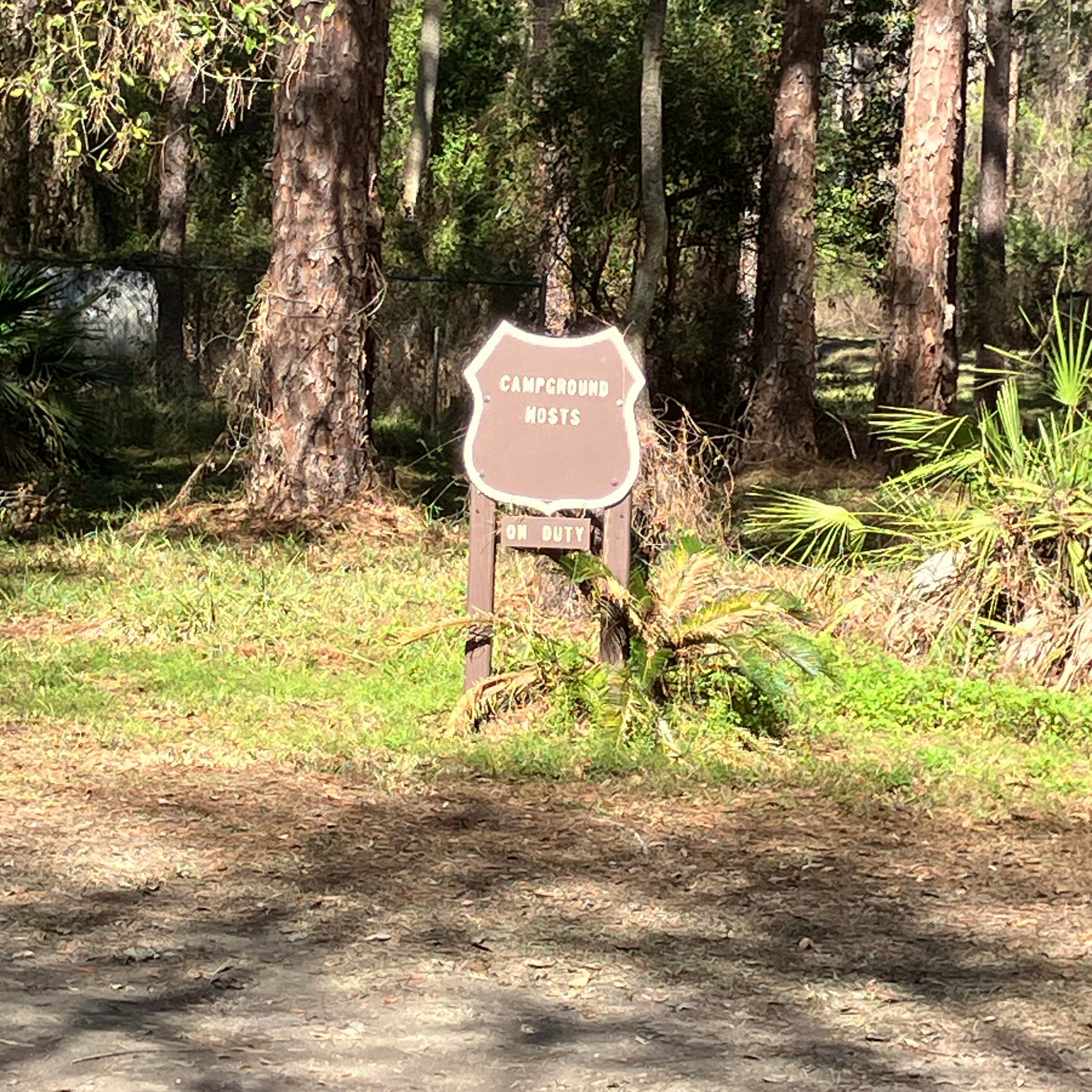 Ocala National Forest Lake Dorr Campground | Altoona, Florida