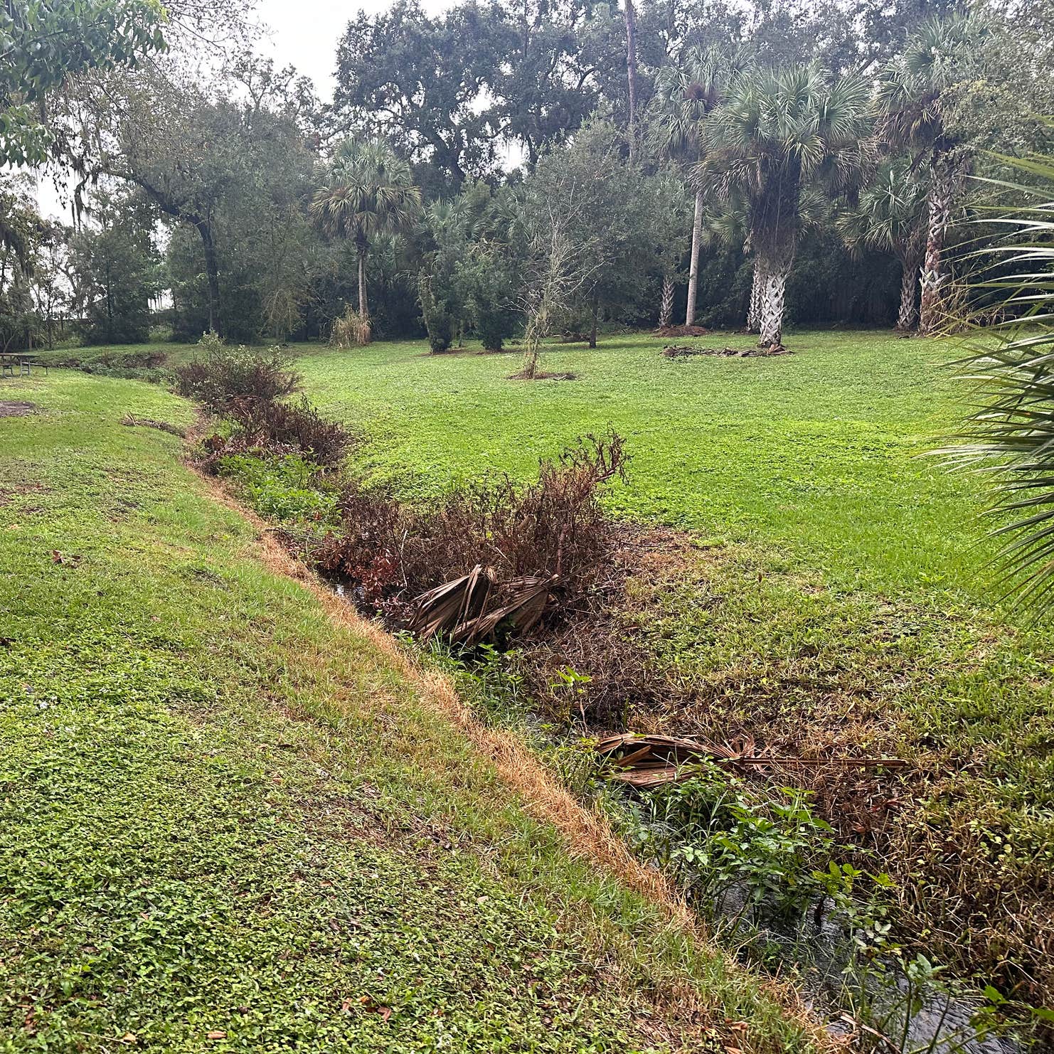 Manatee Hammock Campground | Sharpes, Florida