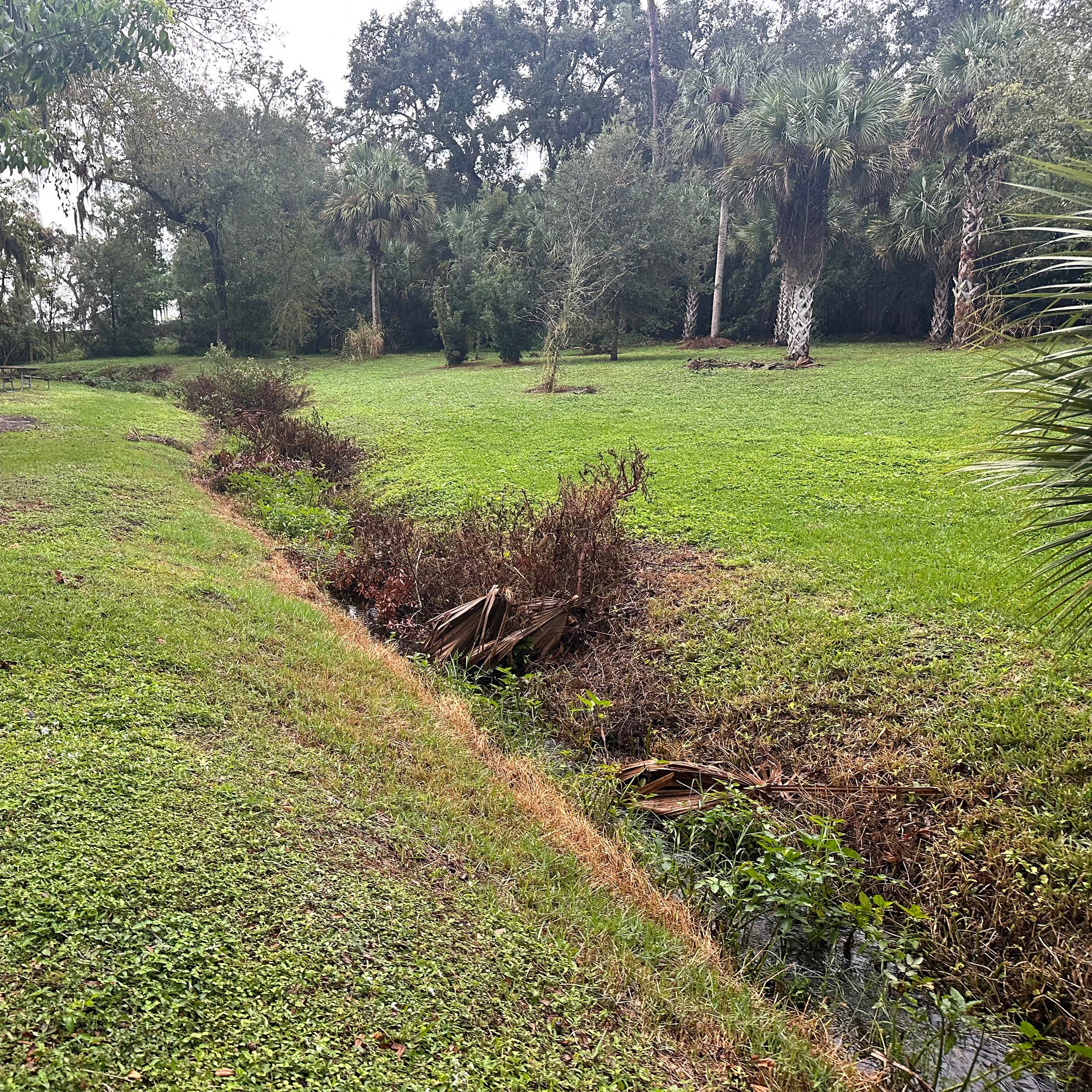 Manatee Hammock Campground | Sharpes, Florida