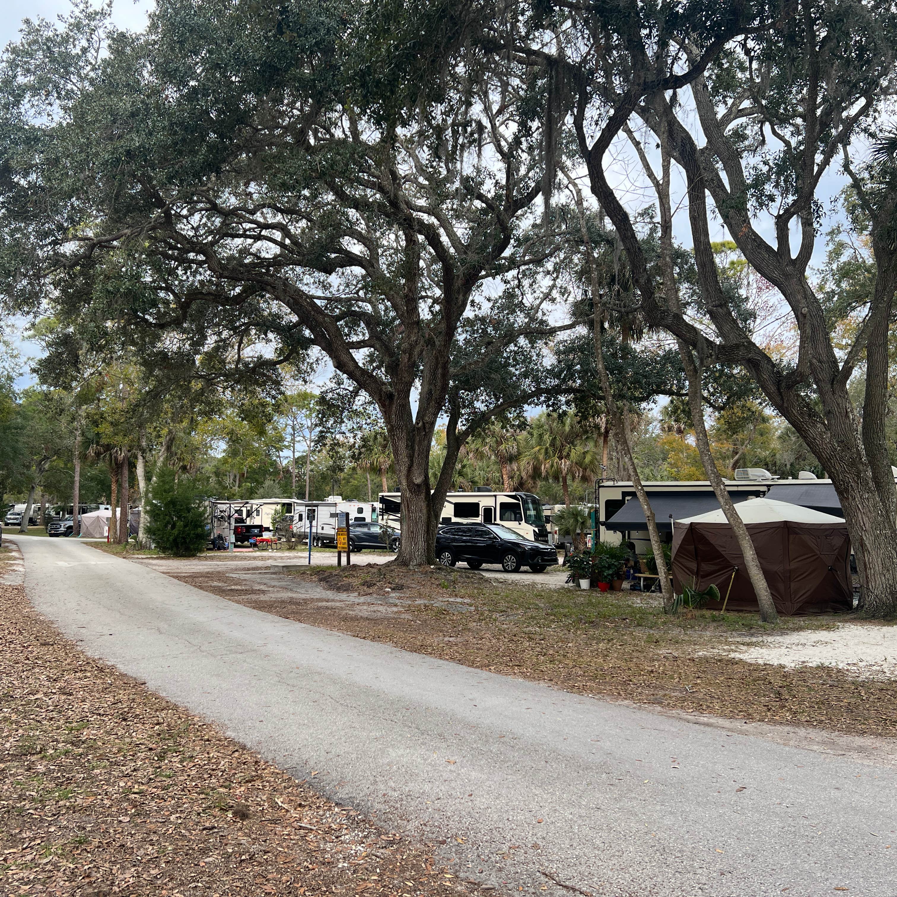 Manatee Hammock Campground | Sharpes, Florida