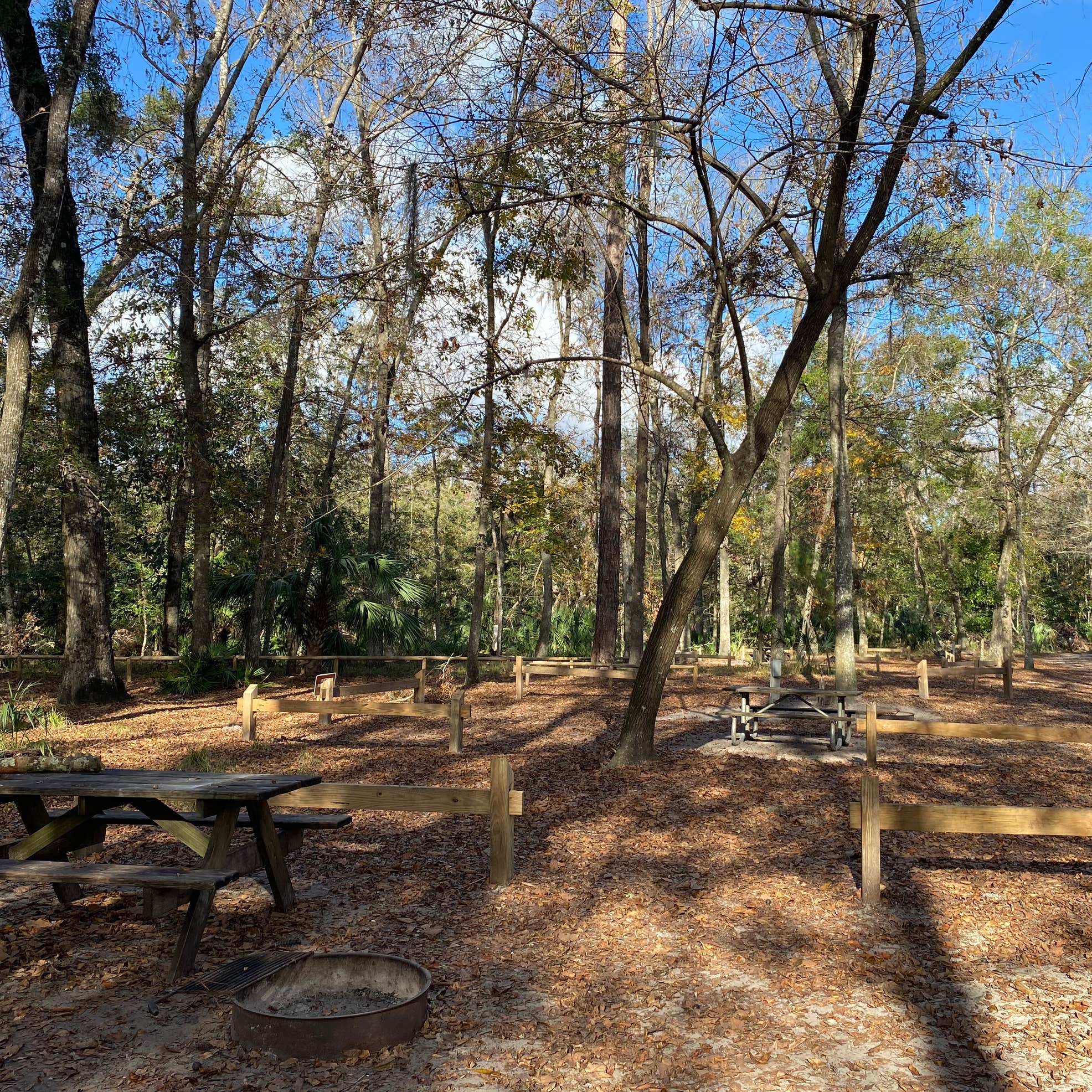 Manatee Springs State Park Campground | Chiefland, Florida
