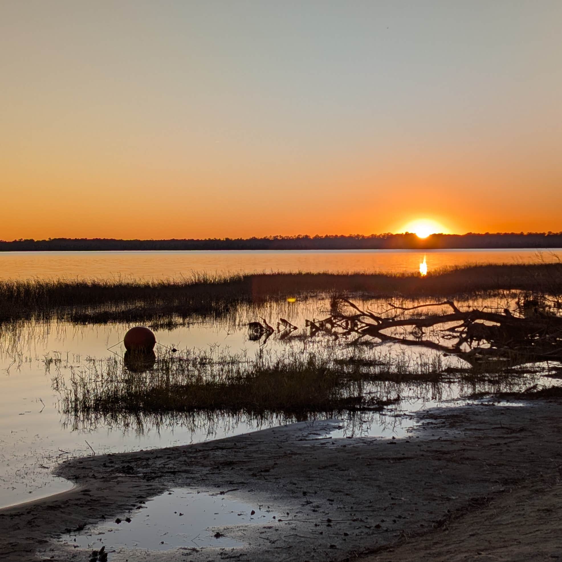 Ocean Pond Campground | Olustee, Florida